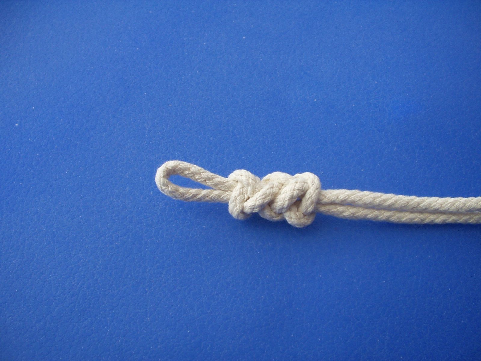 Two Strand Lanyard Knot (ABOK 784) : 10 Steps - Instructables