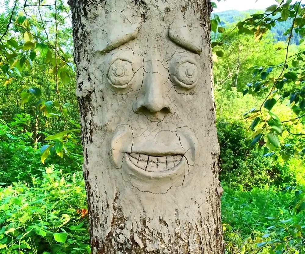 How to Make Faces on Your Trees in 4 Easy Steps : 4 Steps (with ...