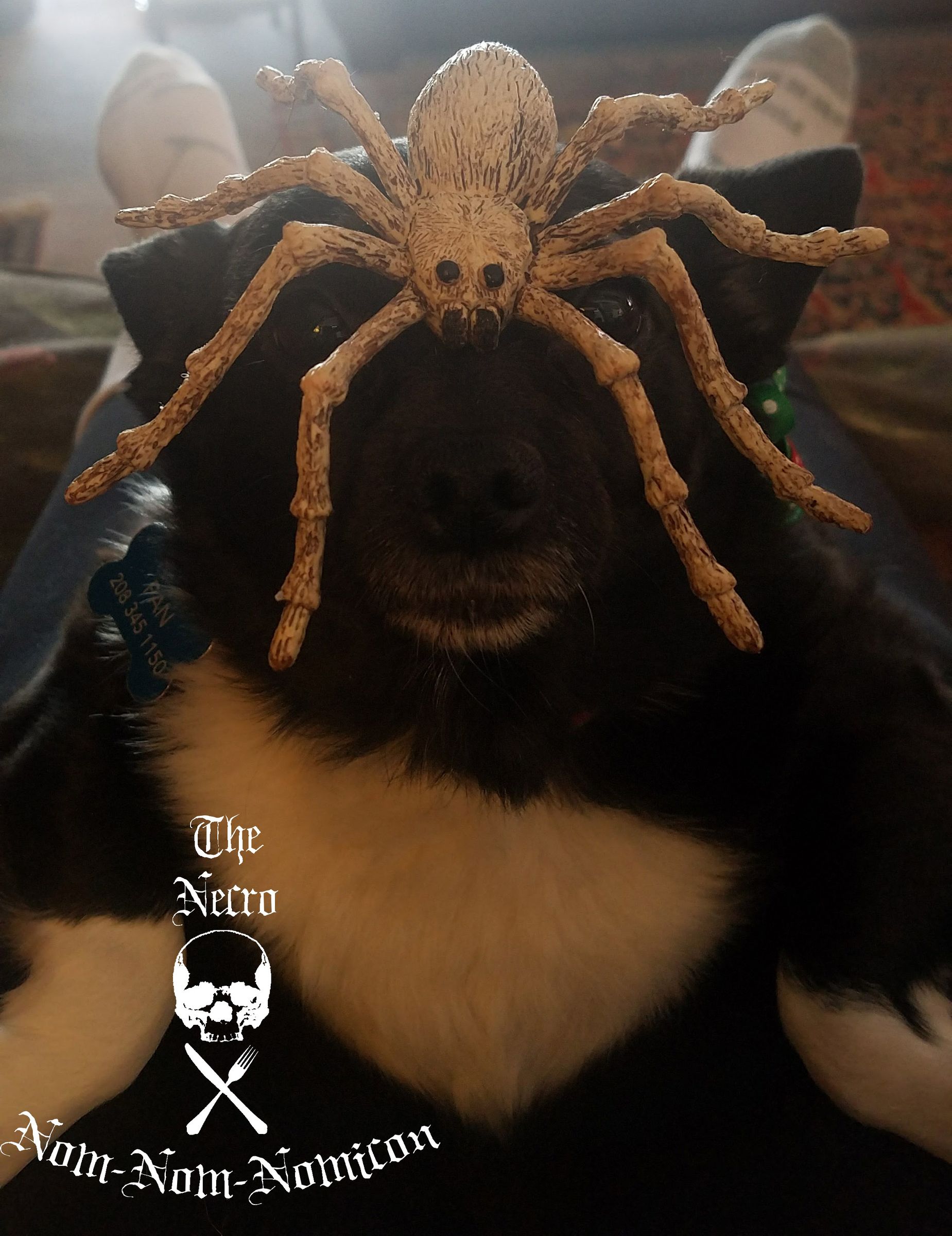 Dark Chocolate Spiders Filled With Marshmallow Eggs : 7 Steps (with ...