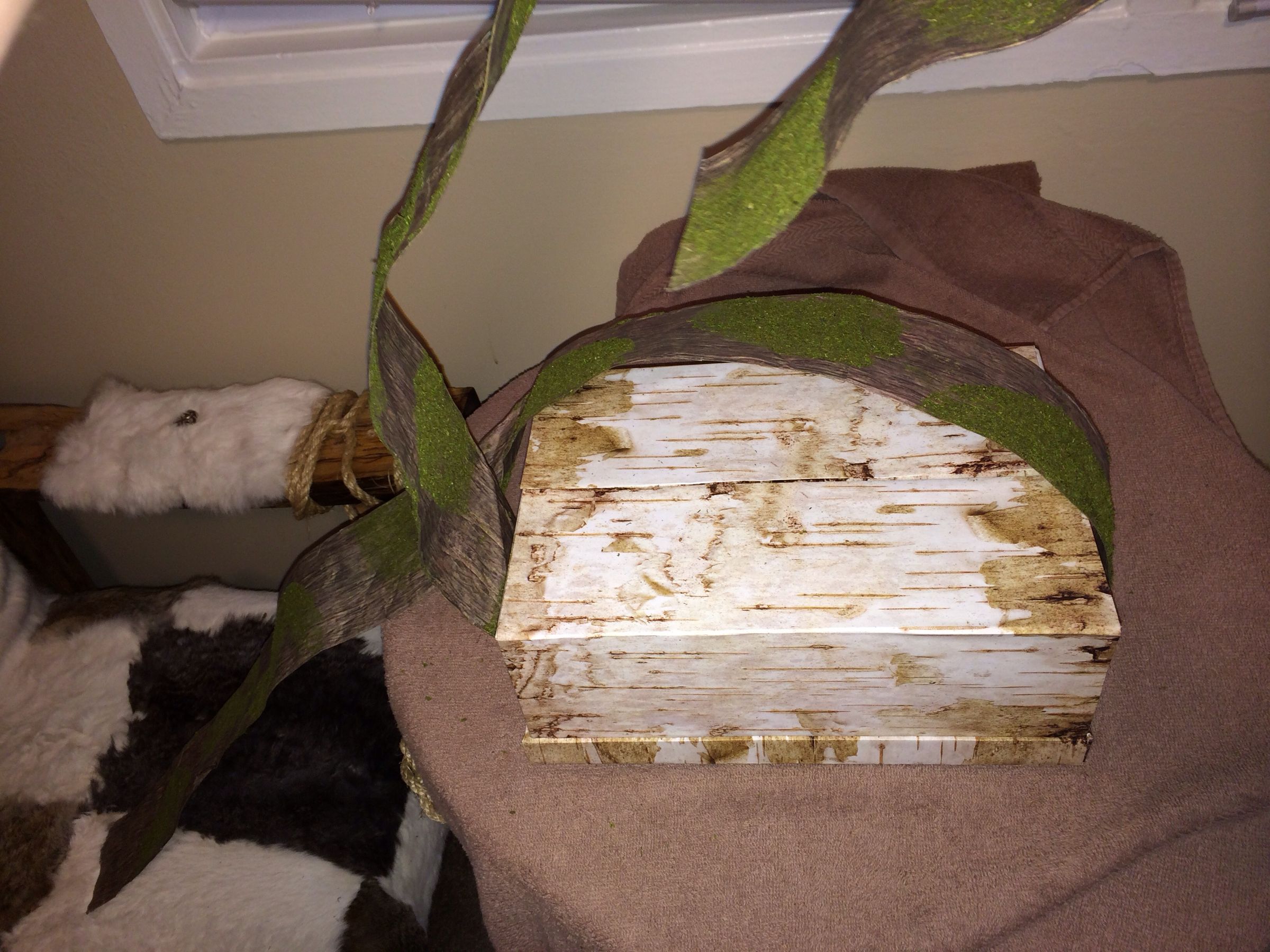 Faux Birch Bark Box : 7 Steps - Instructables
