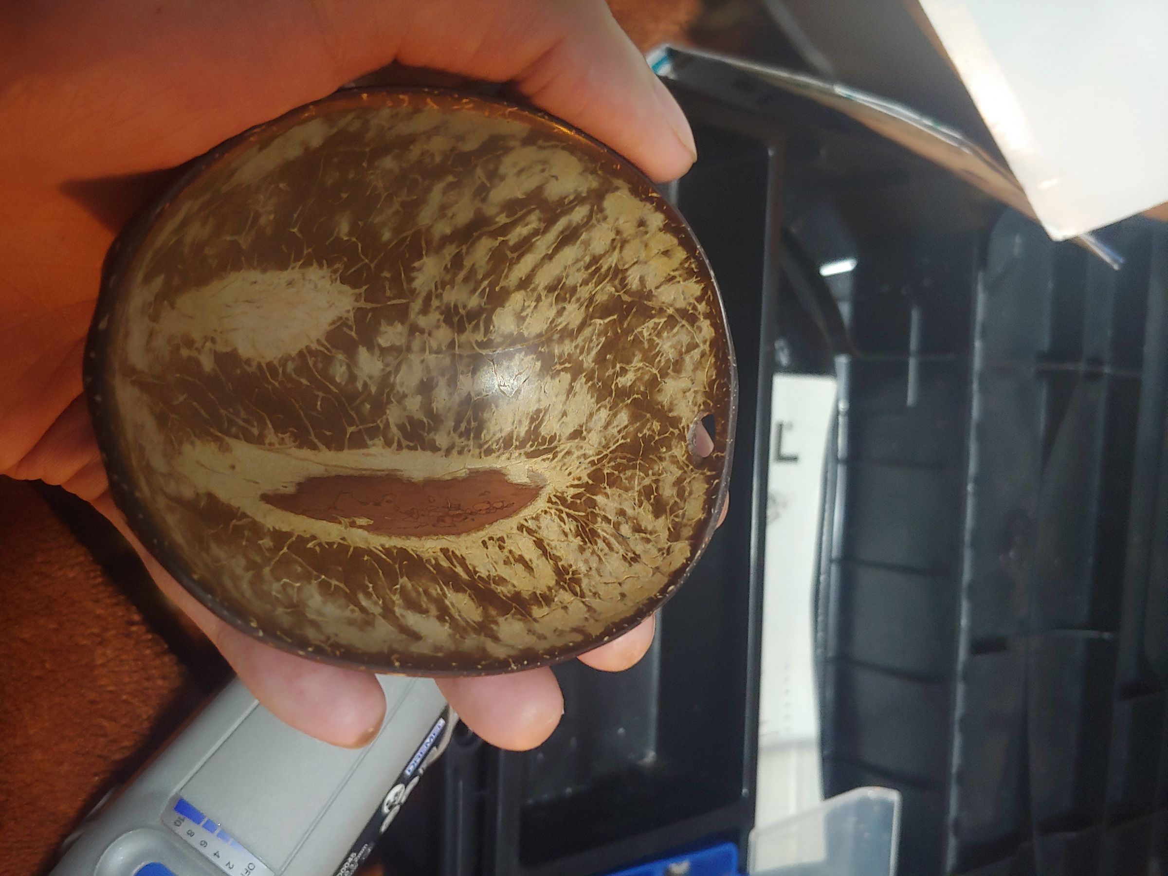 Making a Coconut Bowl (Super Easy Way) : 8 Steps (with Pictures ...