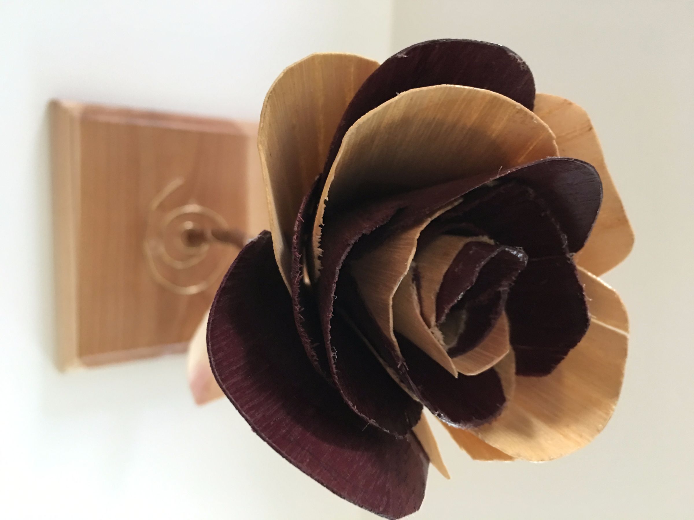 Wood Veneer Rose : 14 Steps (with Pictures) - Instructables