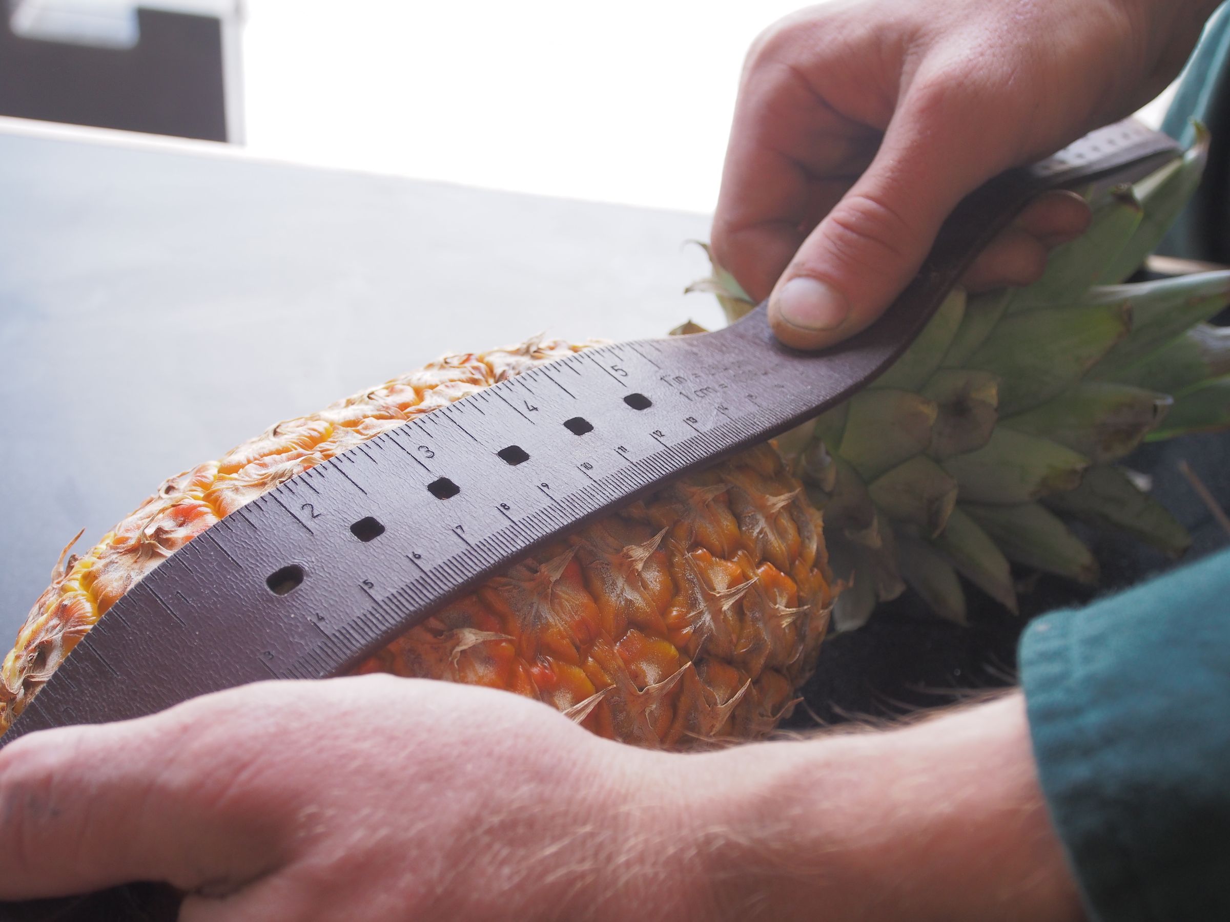 Measuring Tape/Belt — a Pocket Reference for Your Waist : 7 Steps (with ...