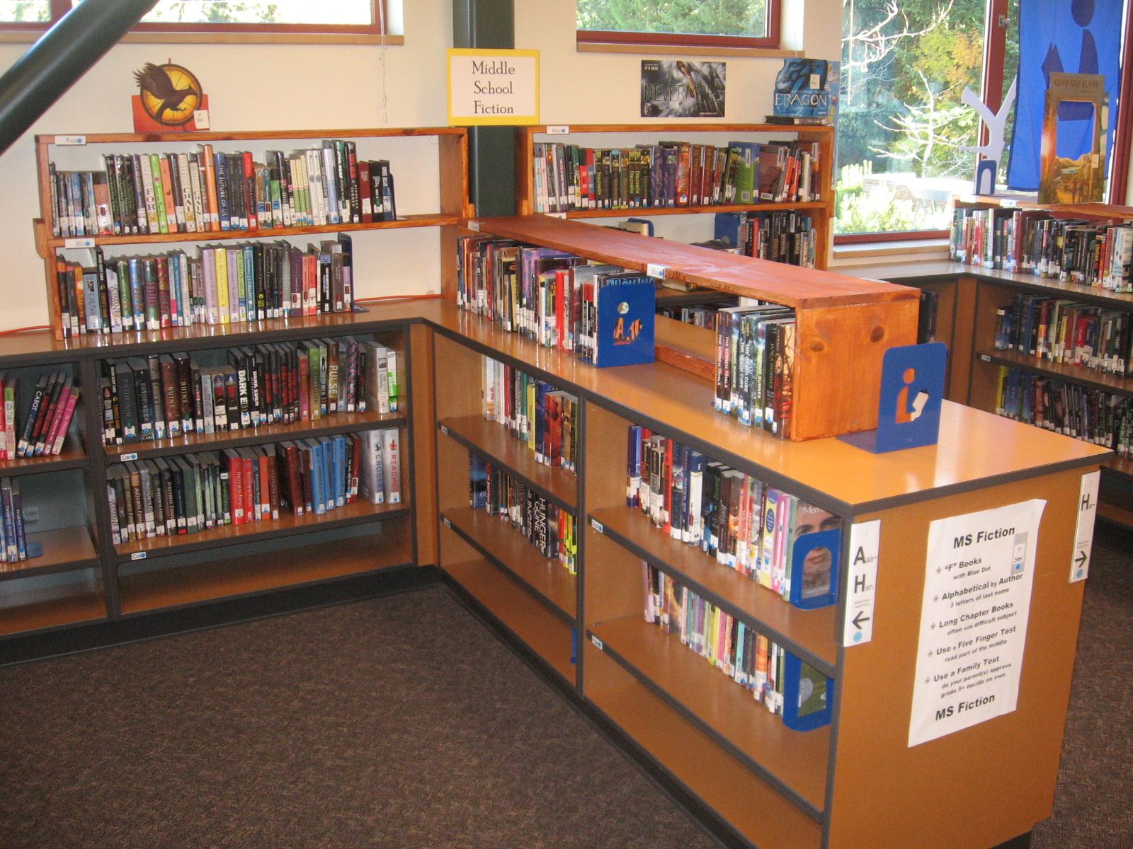 Shelf Topper for More Books More Beautifully in the Library : 4 Steps ...