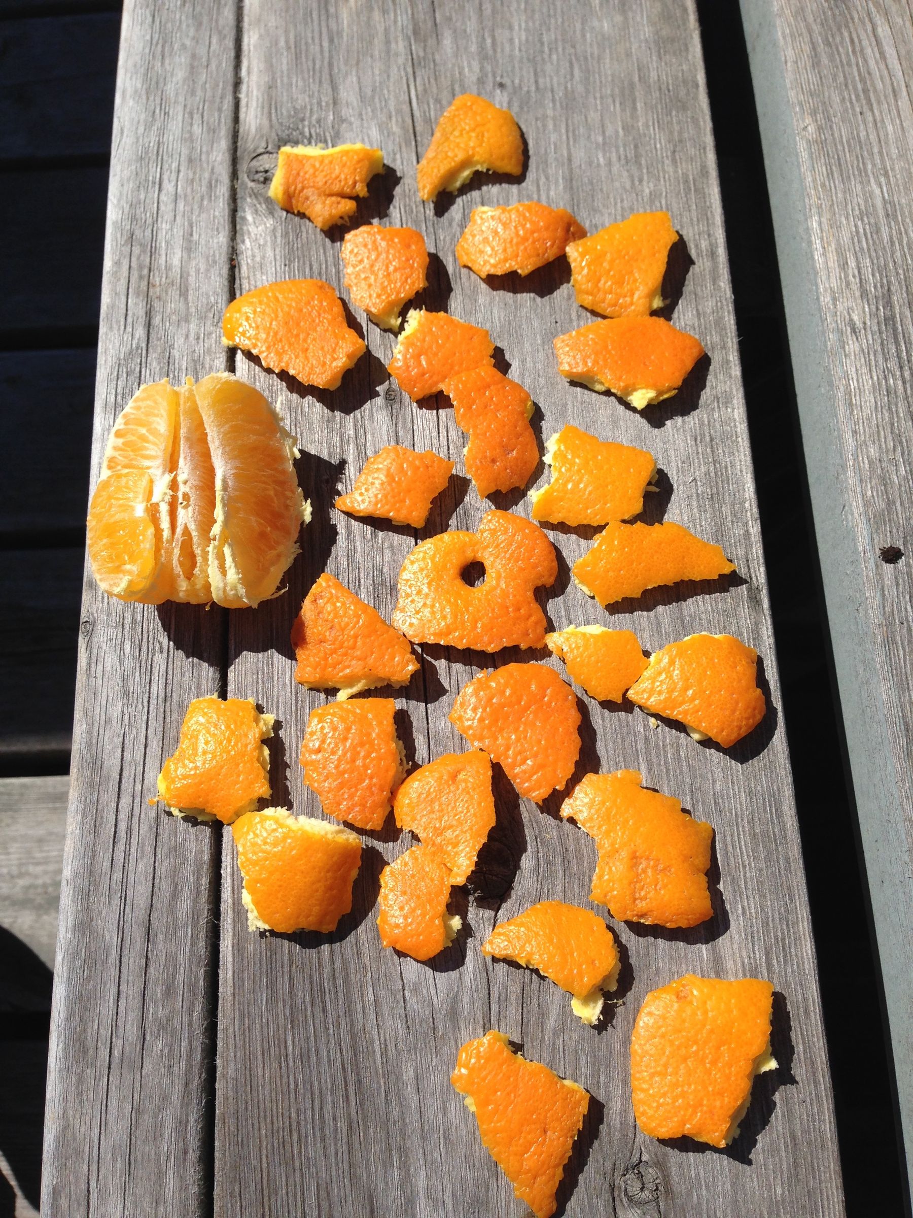 Orange Peel Skewers : 4 Steps (with Pictures) - Instructables