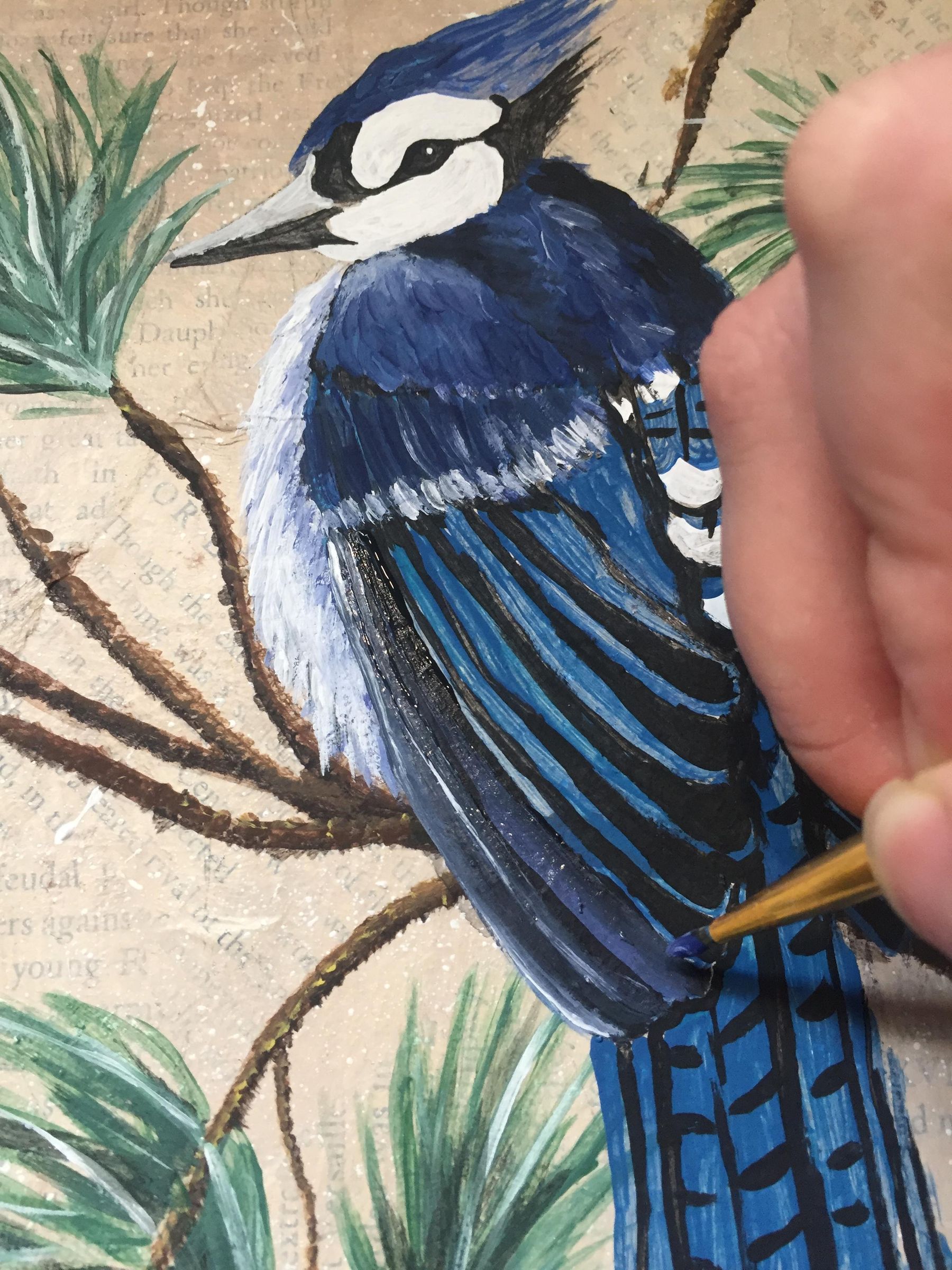 How to Paint a Blue Jay on a Branch. : 13 Steps (with Pictures ...