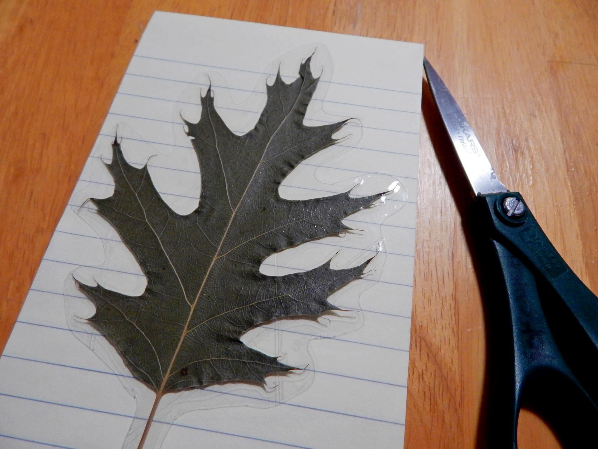 DIY Laminated Leaf Bookmarks : 4 Steps (with Pictures) - Instructables