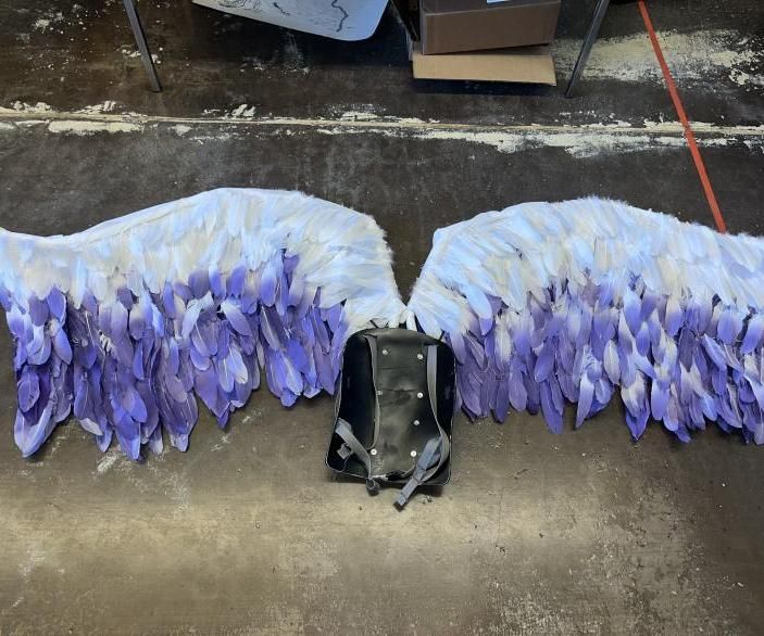 Mechanical Wings : 12 Steps (with Pictures) - Instructables