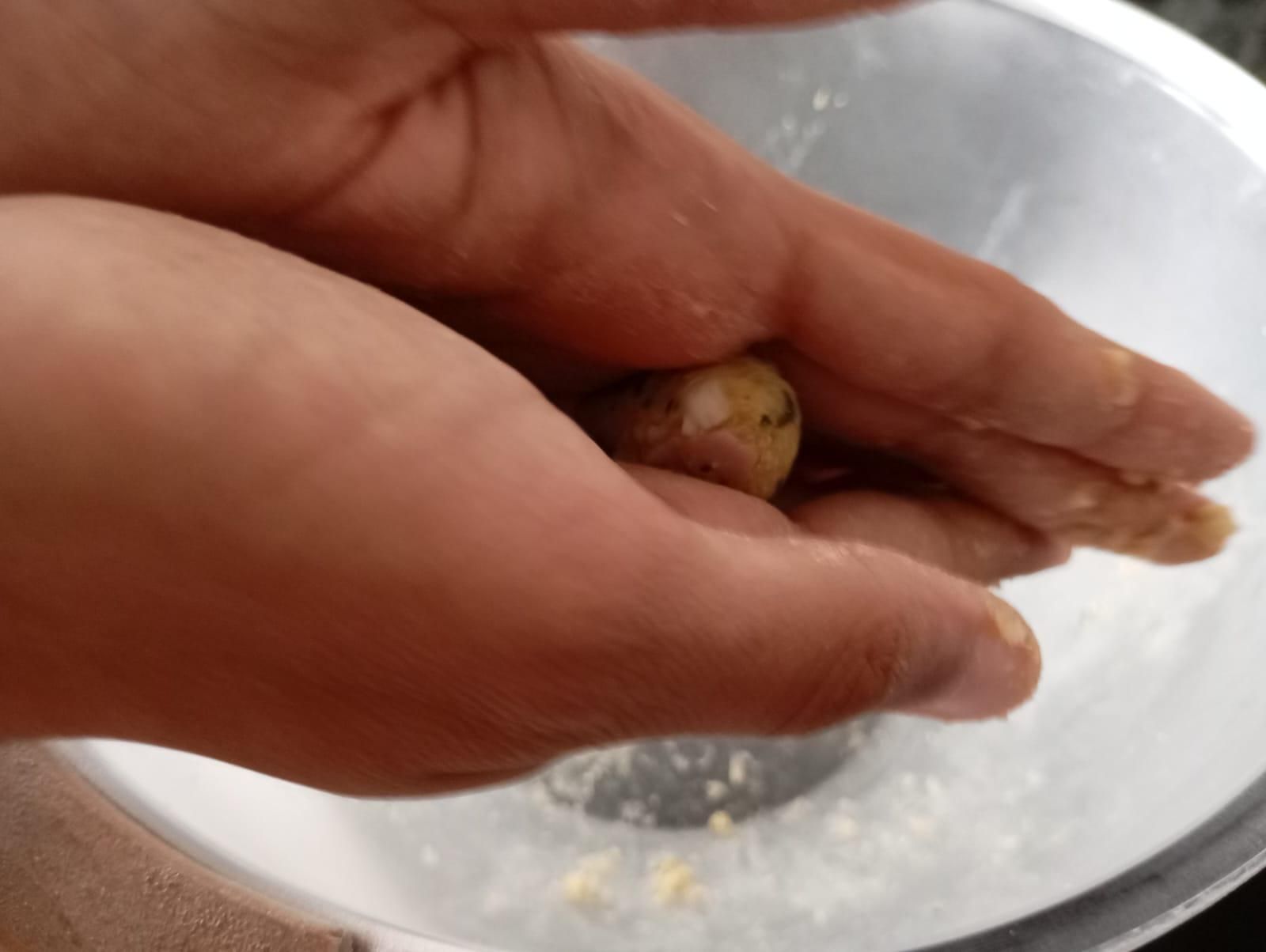 Simple Outdoor Bread Fritters: Made With Just a Few Ingredients ...
