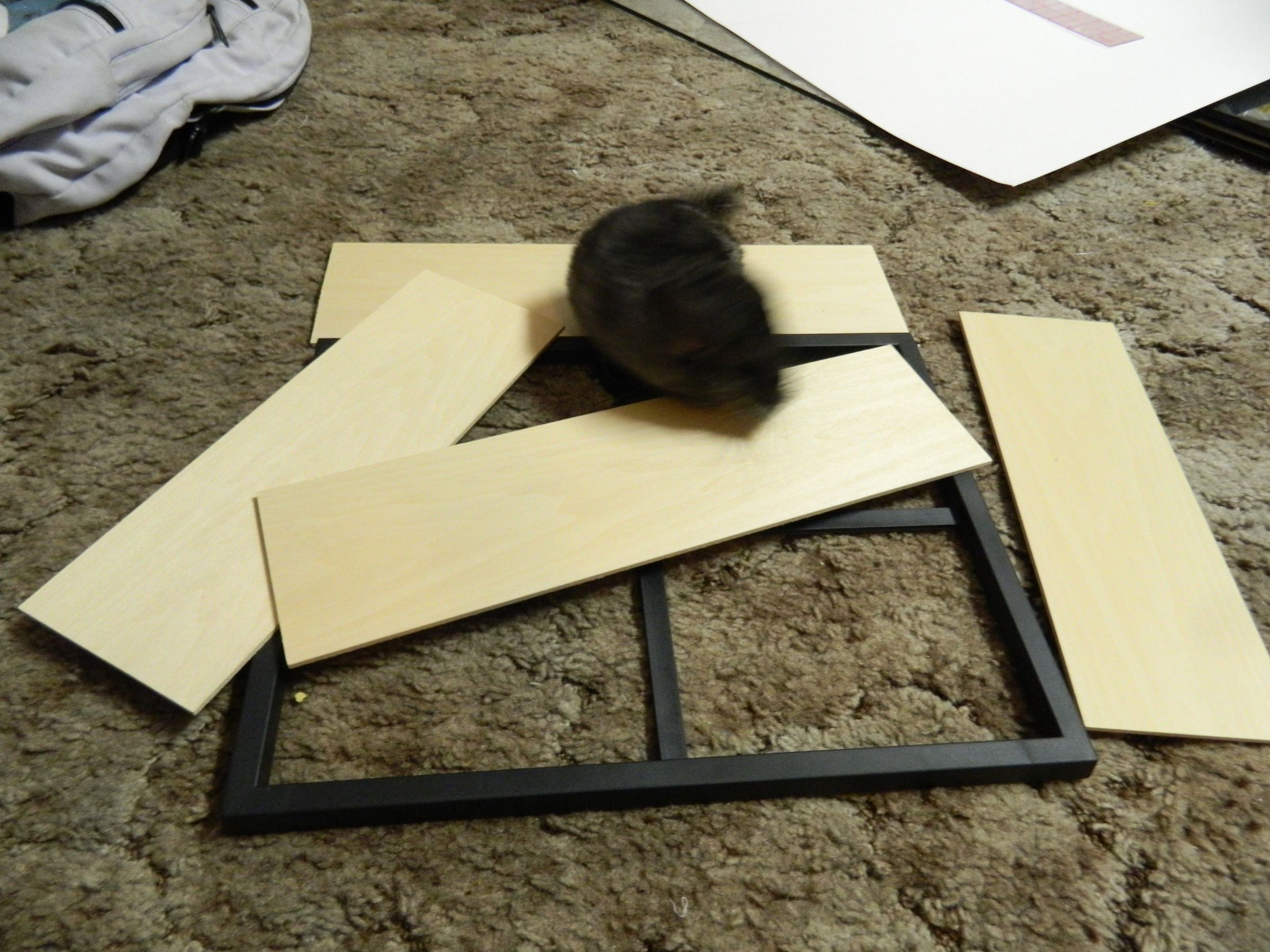 Paper Cut Shadow Box : 5 Steps (with Pictures) - Instructables