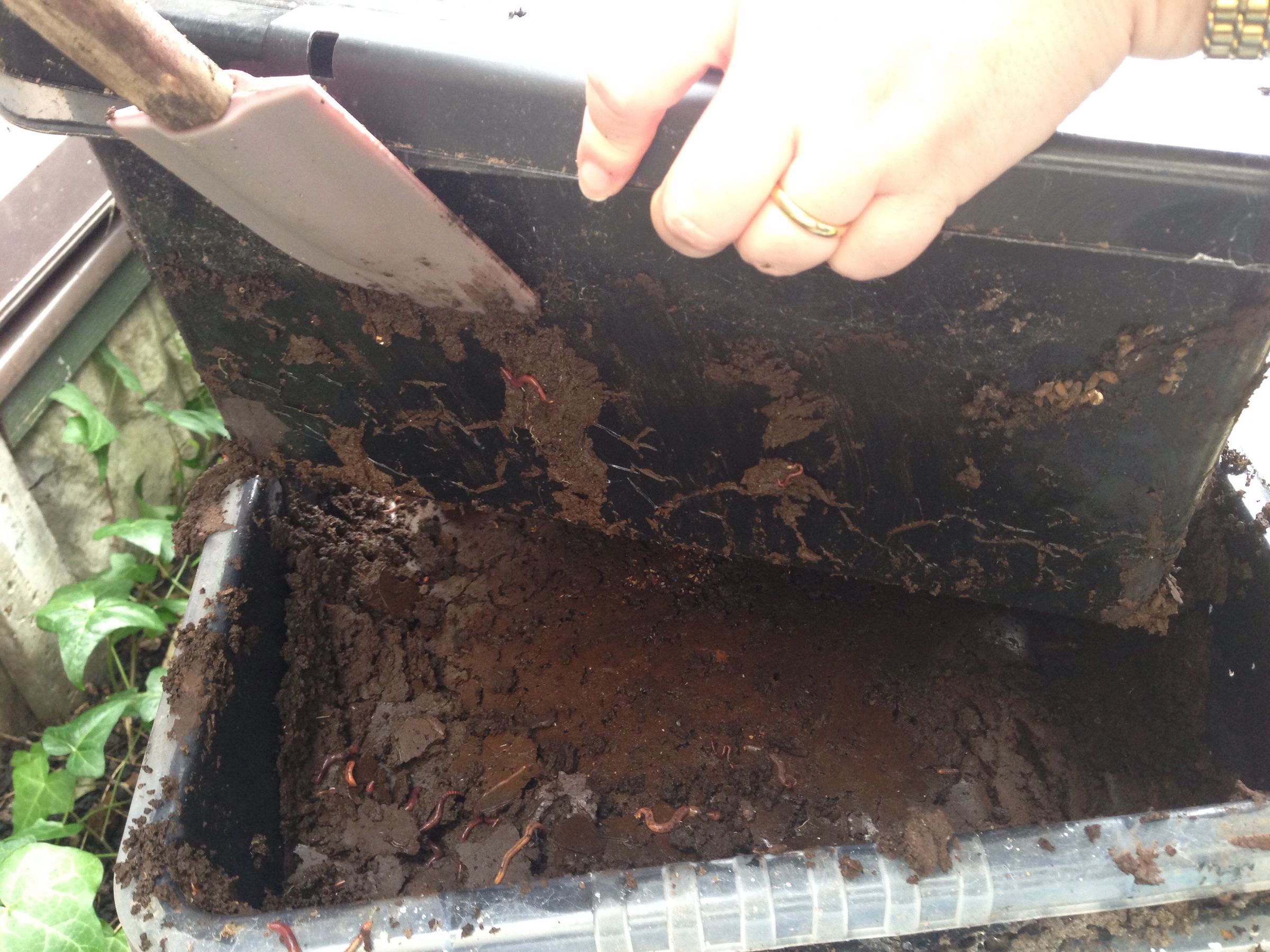 Make or Upgrade a Worm Composter : 4 Steps (with Pictures) - Instructables