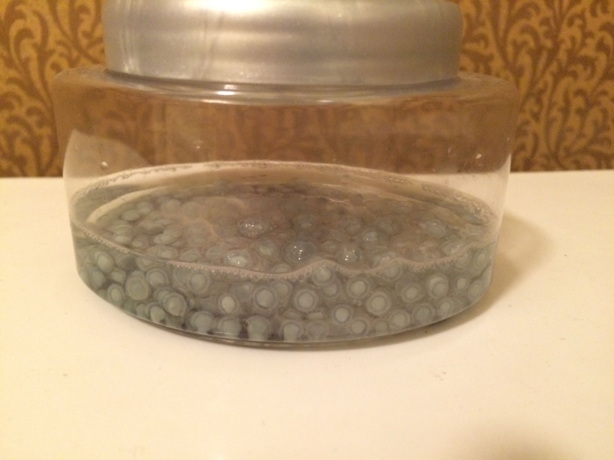 Reuse Odor Absorbing Gel Beads : 4 Steps - Instructables