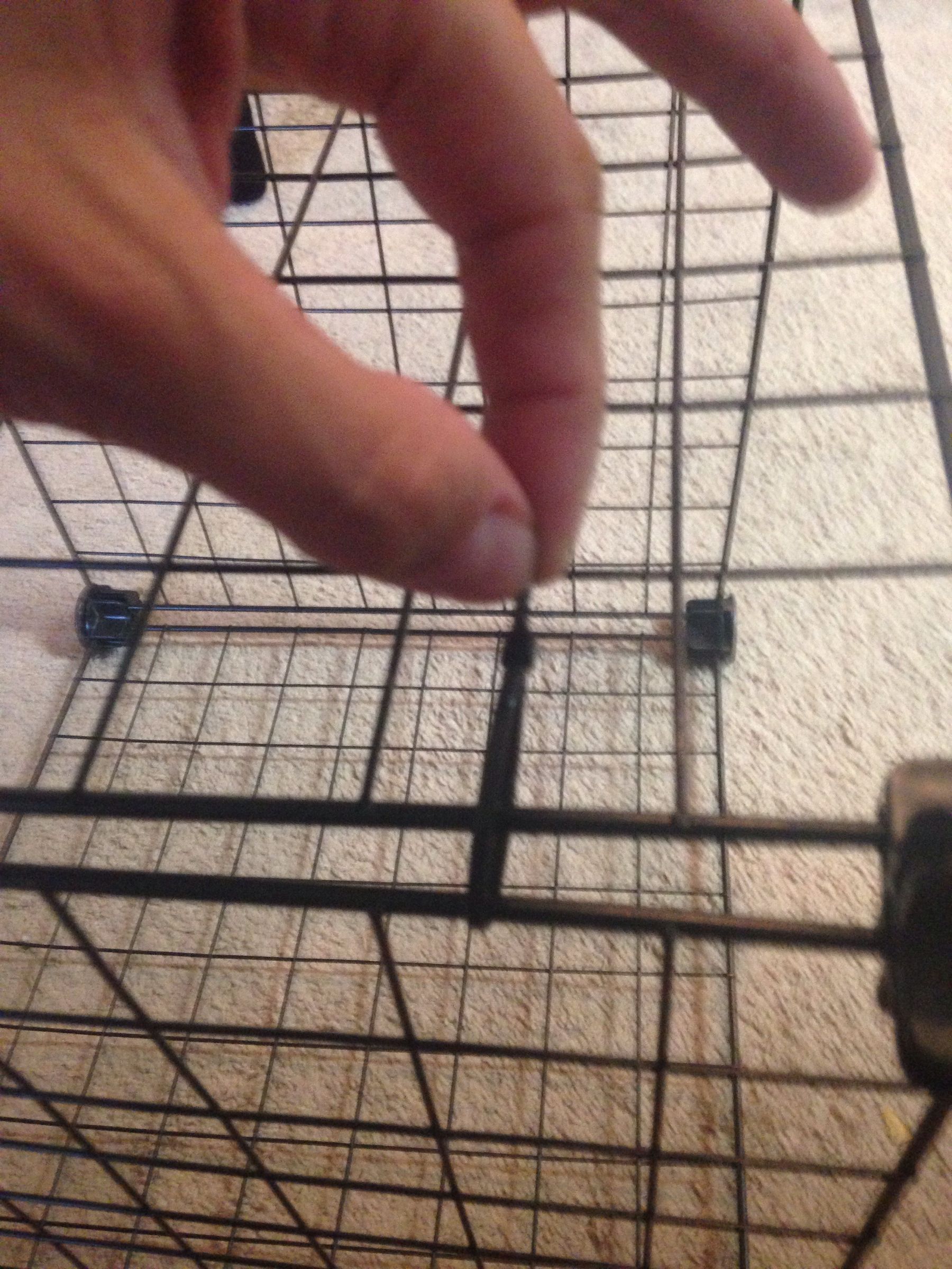 DIY Cat Run : 5 Steps - Instructables