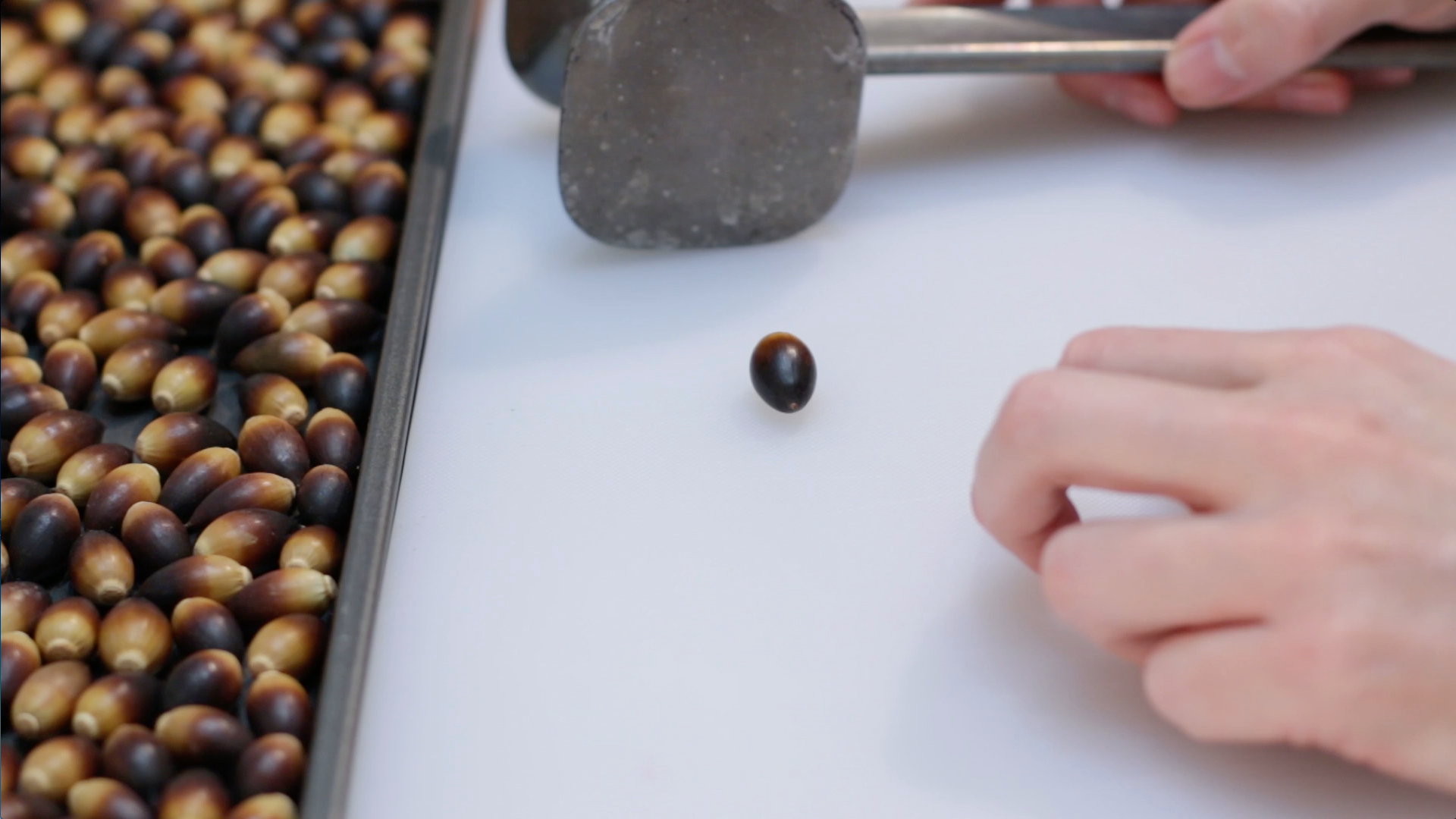 How to Process Acorns and Make Acorn Flour : 8 Steps (with Pictures ...