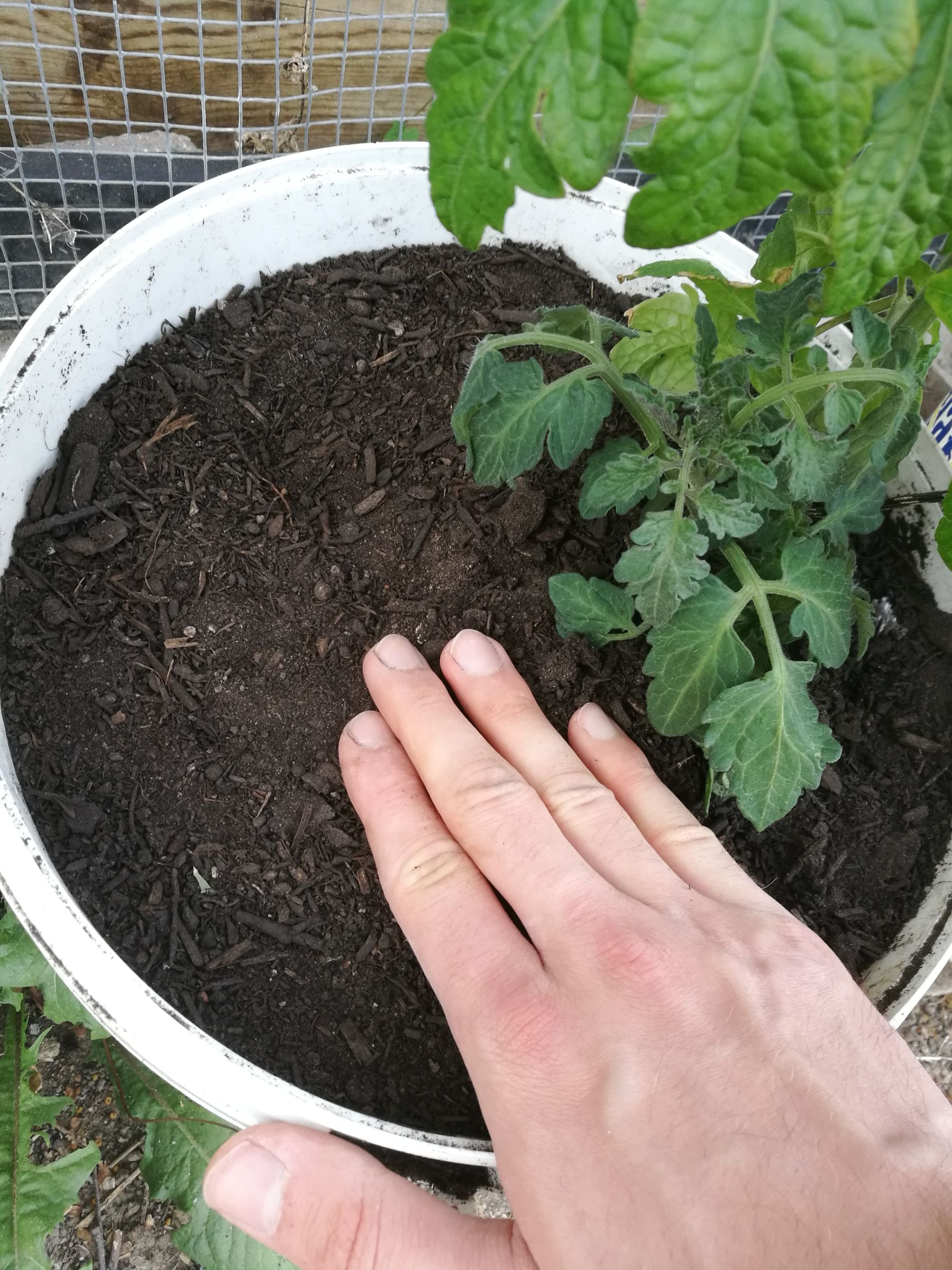 Simple Wicking System : 4 Steps - Instructables