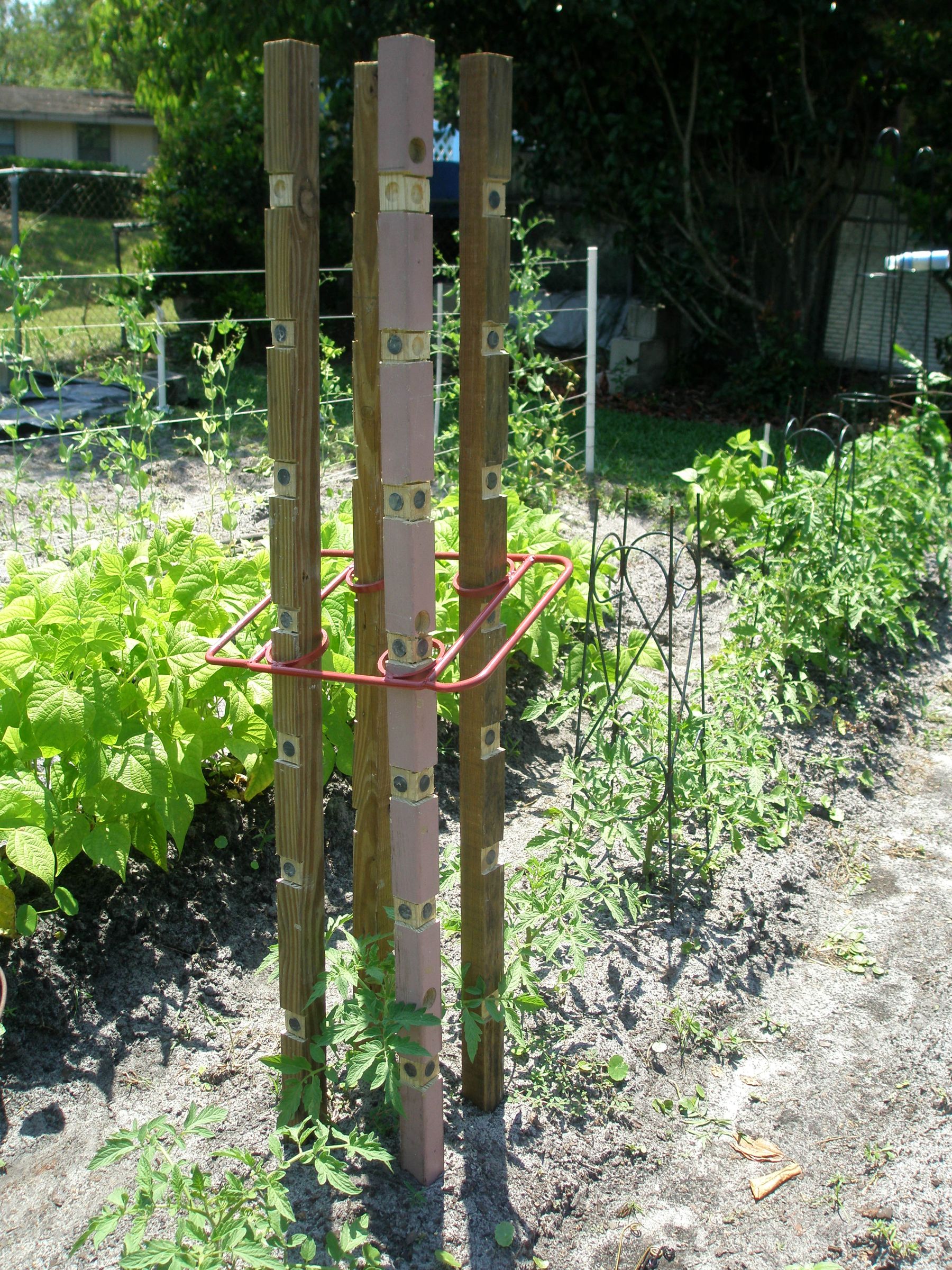 GARDEN TOMATO CAGE : 3 Steps - Instructables
