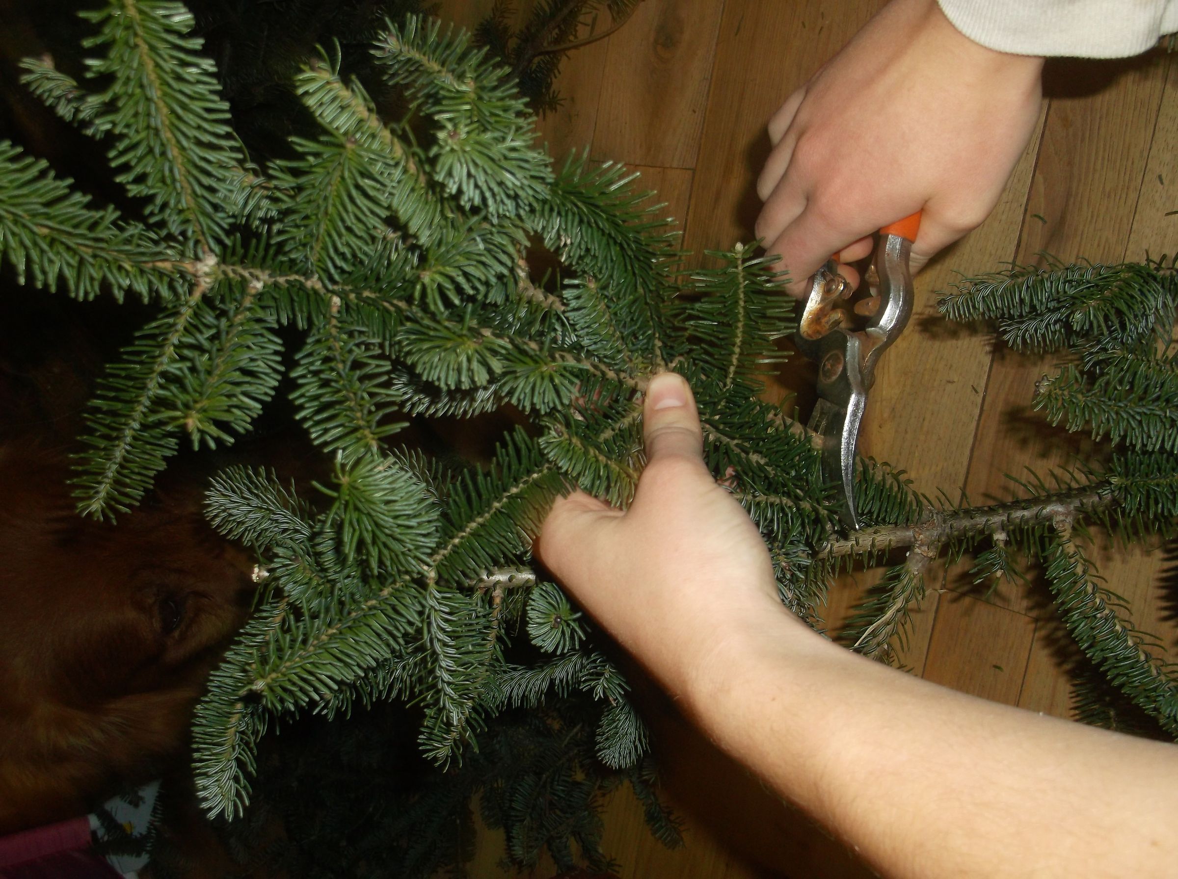 How to Make a Christmas Wreath : 10 Steps - Instructables