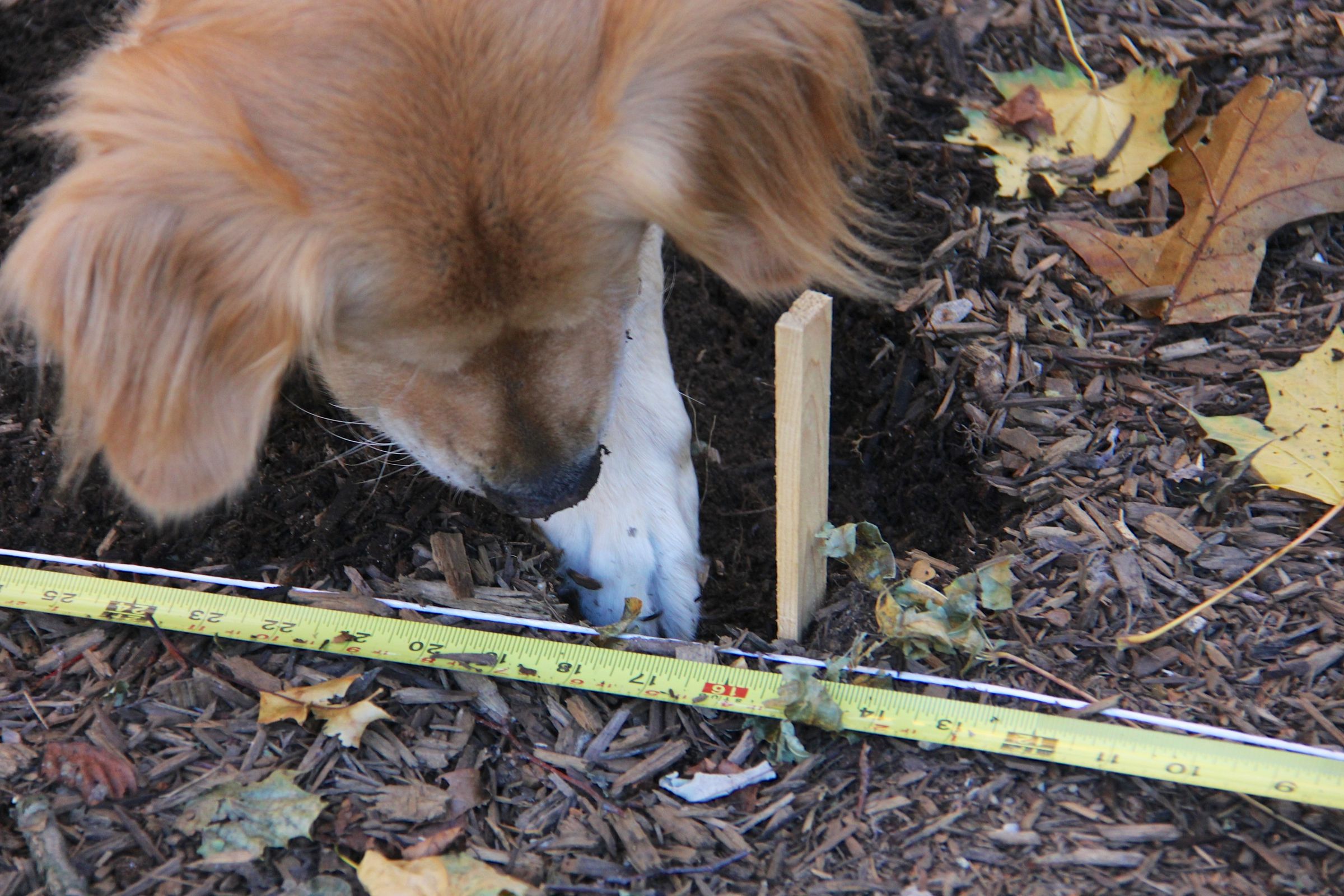Build a Backyard Labyrinth : 20 Steps (with Pictures) - Instructables