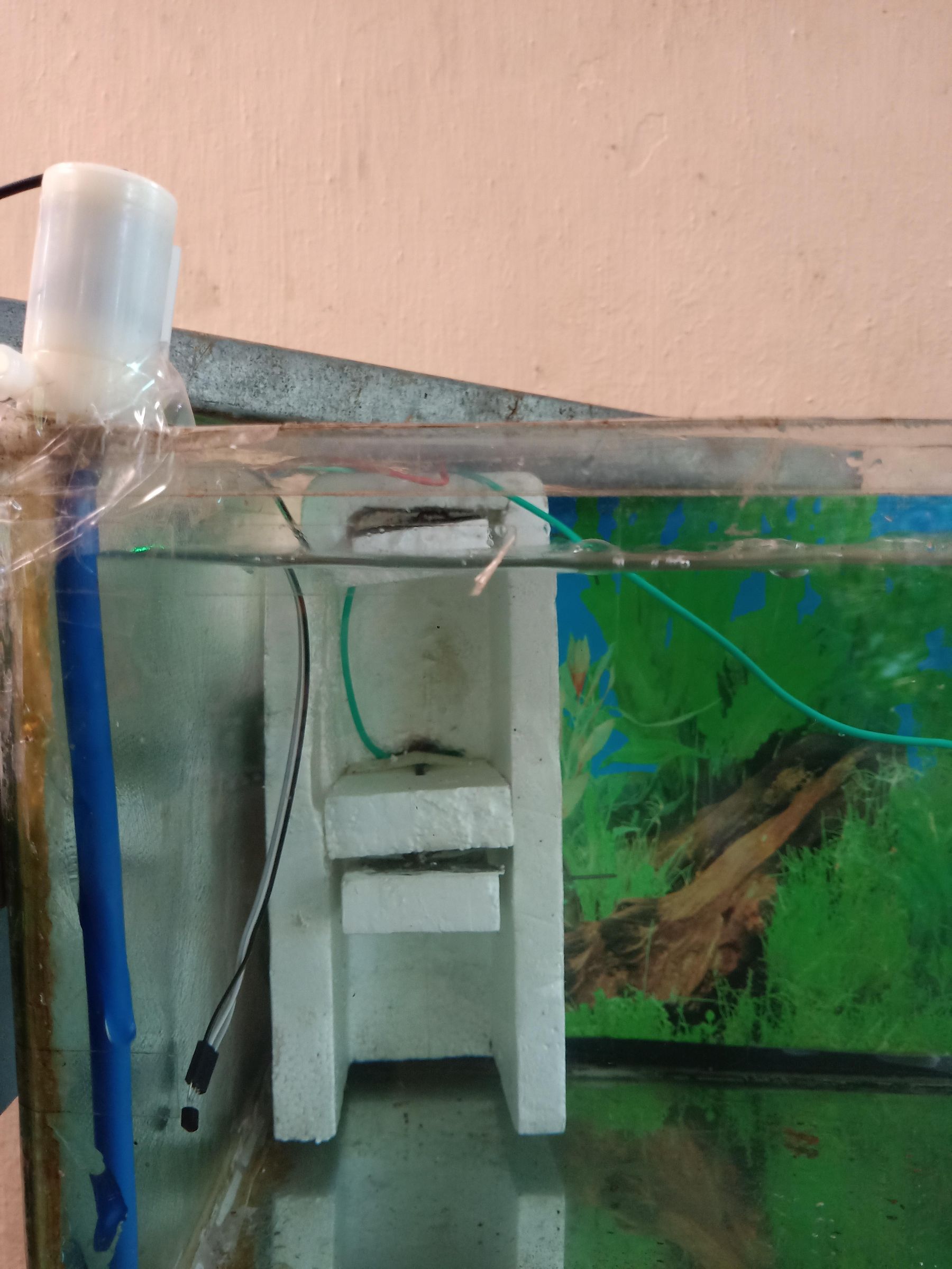 Automated Aquarium : 4 Steps - Instructables