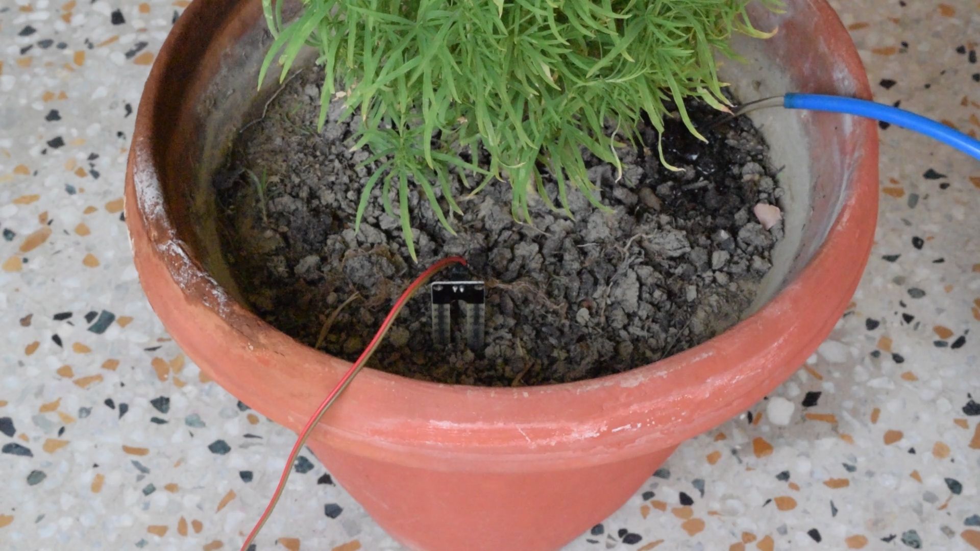 Plant Monitoring and Watering System Using Evive (Arduino Powered ...