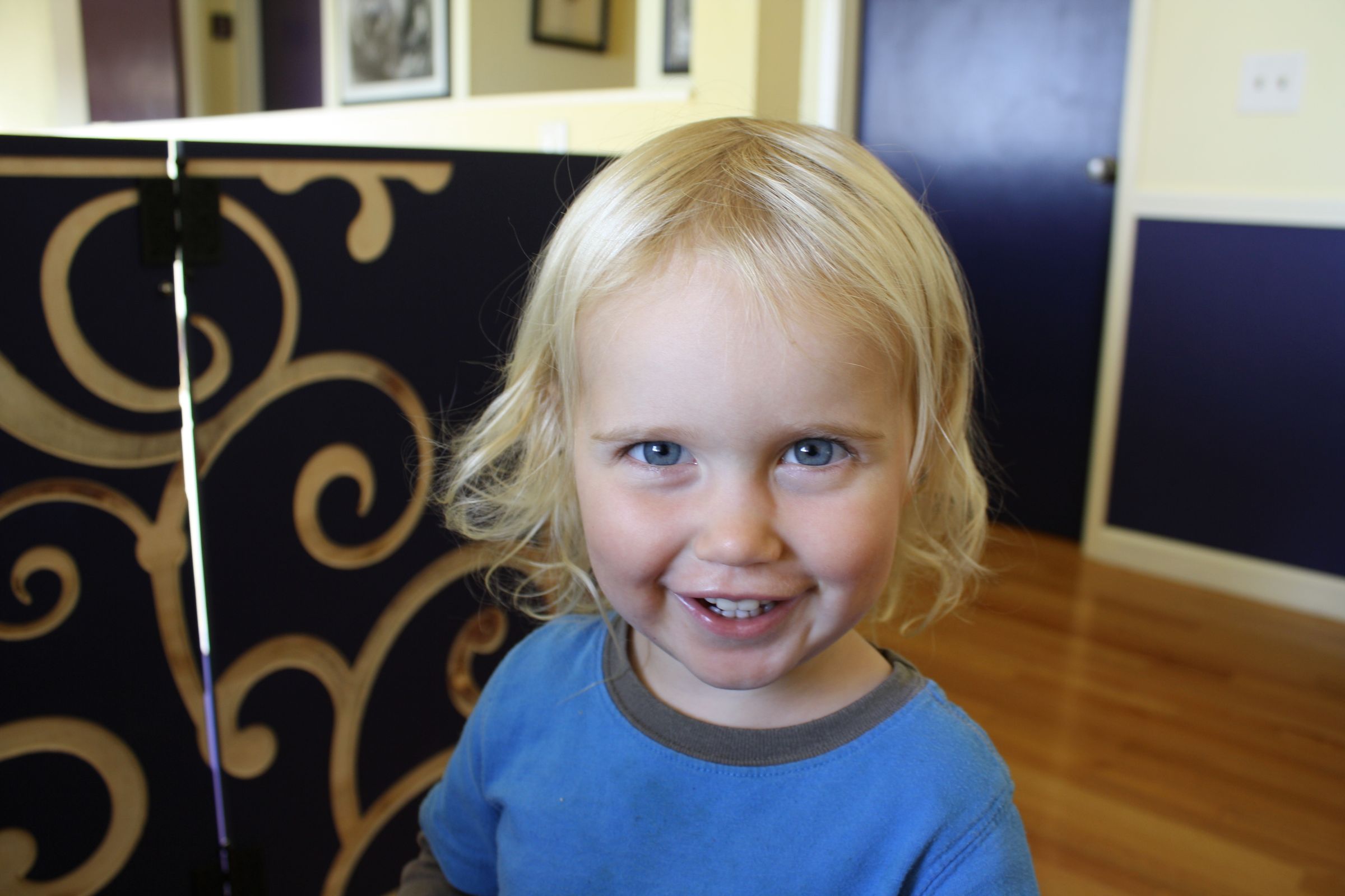 Pirate-Themed Stair Gate and Window Covers : 6 Steps (with Pictures ...