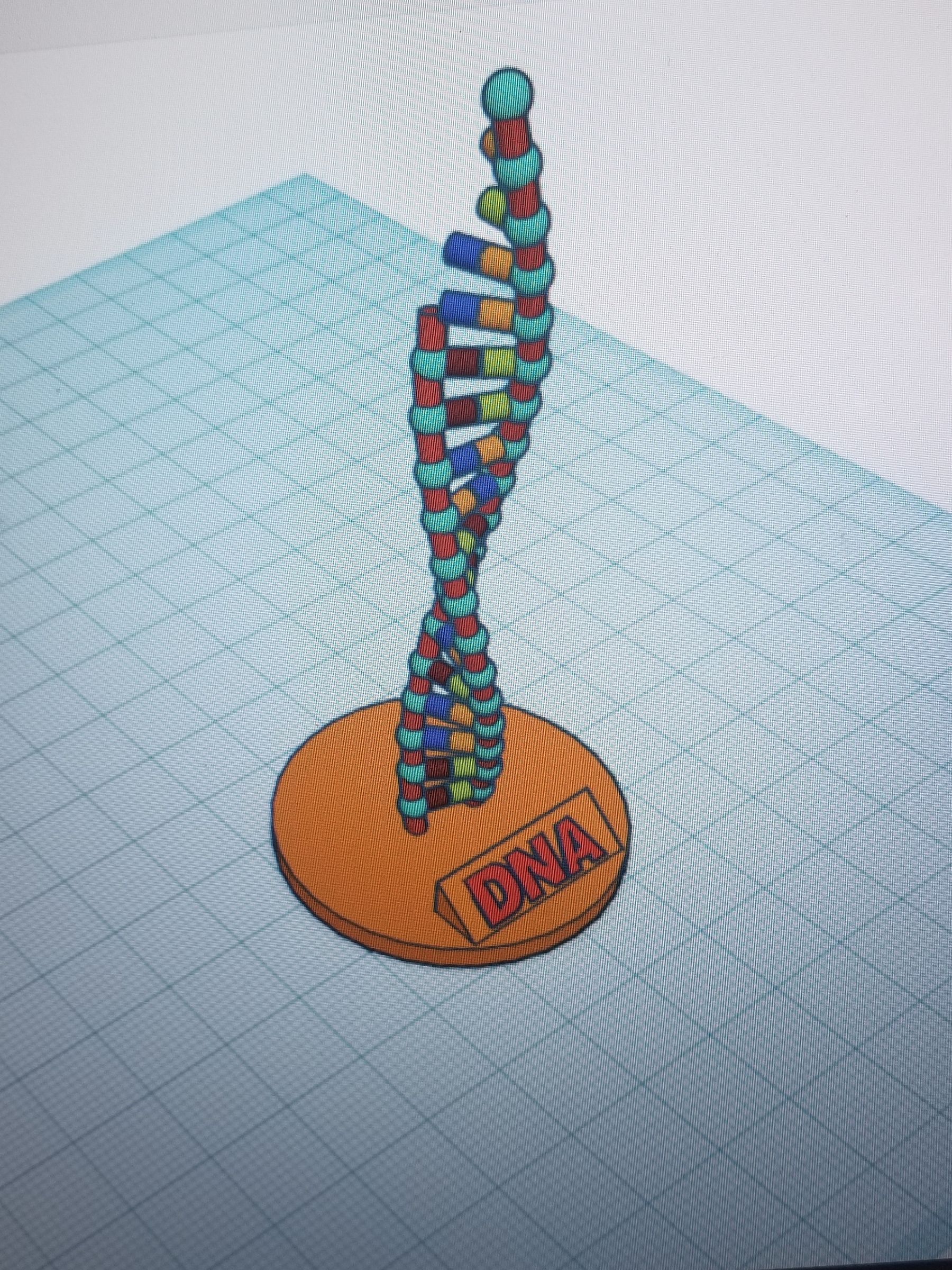 Dna Replication Model Ideas
