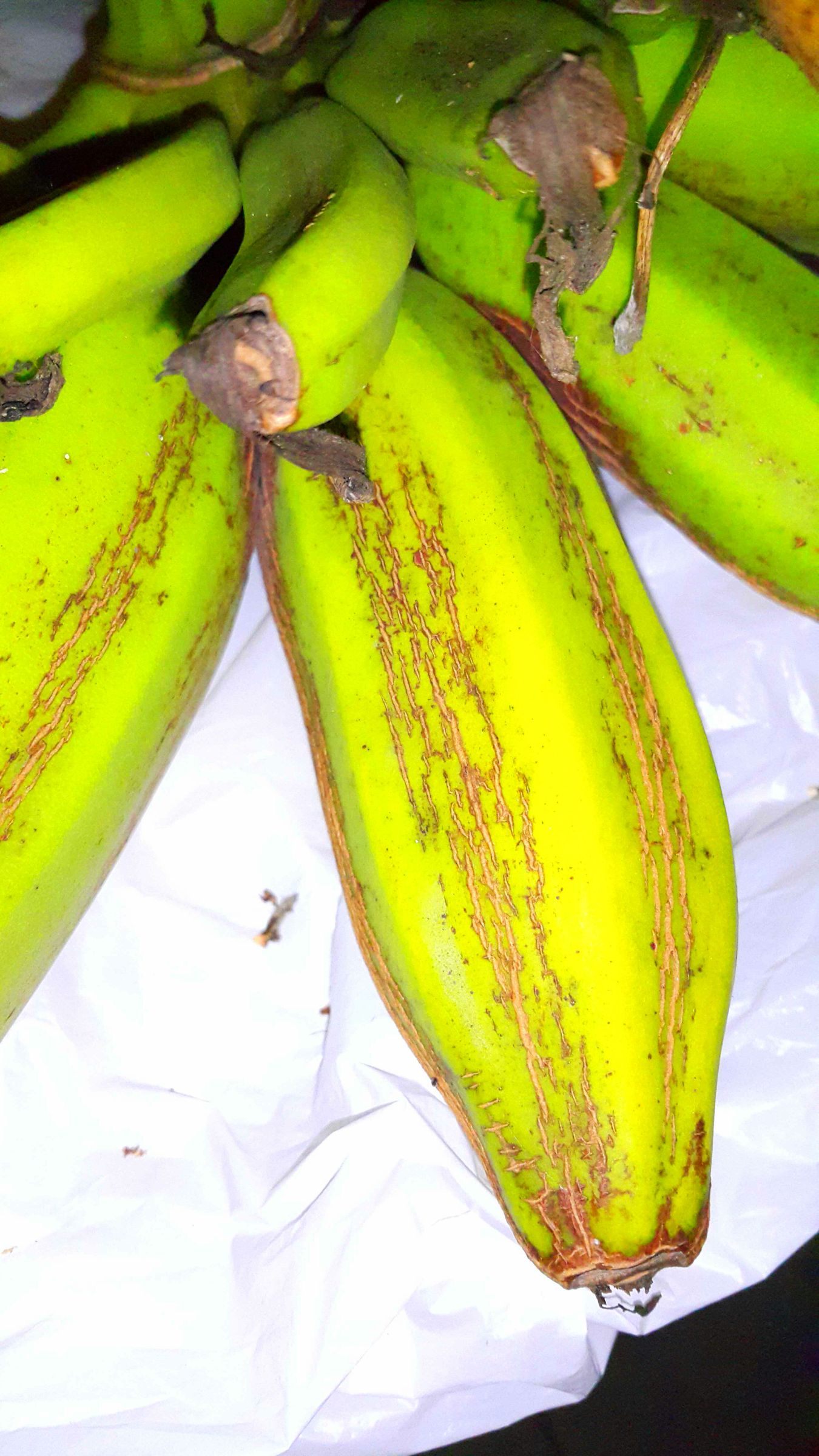 Best Way to Harvest Moco Plantains. : 3 Steps - Instructables