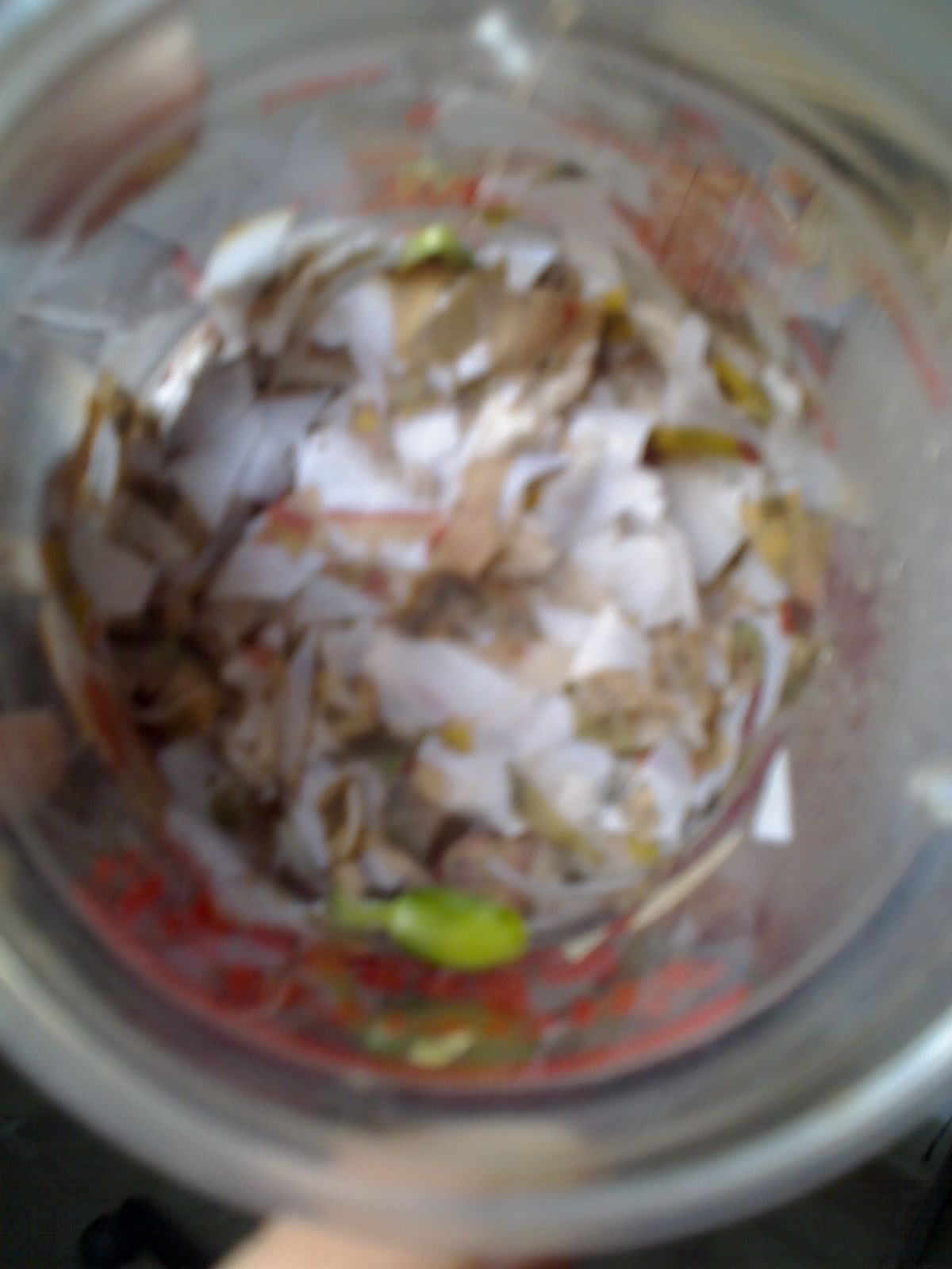 Simple Soil Substitute for Germinating Seeds : 4 Steps - Instructables