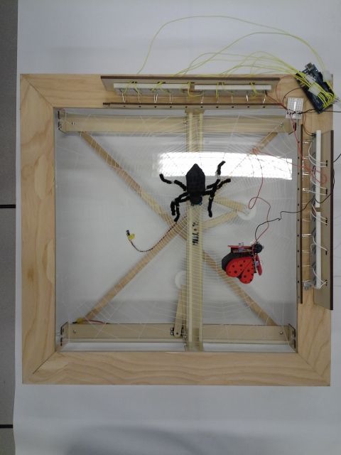 Bug-Catching Spider in Web, Part 1 : 15 Steps (with Pictures ...