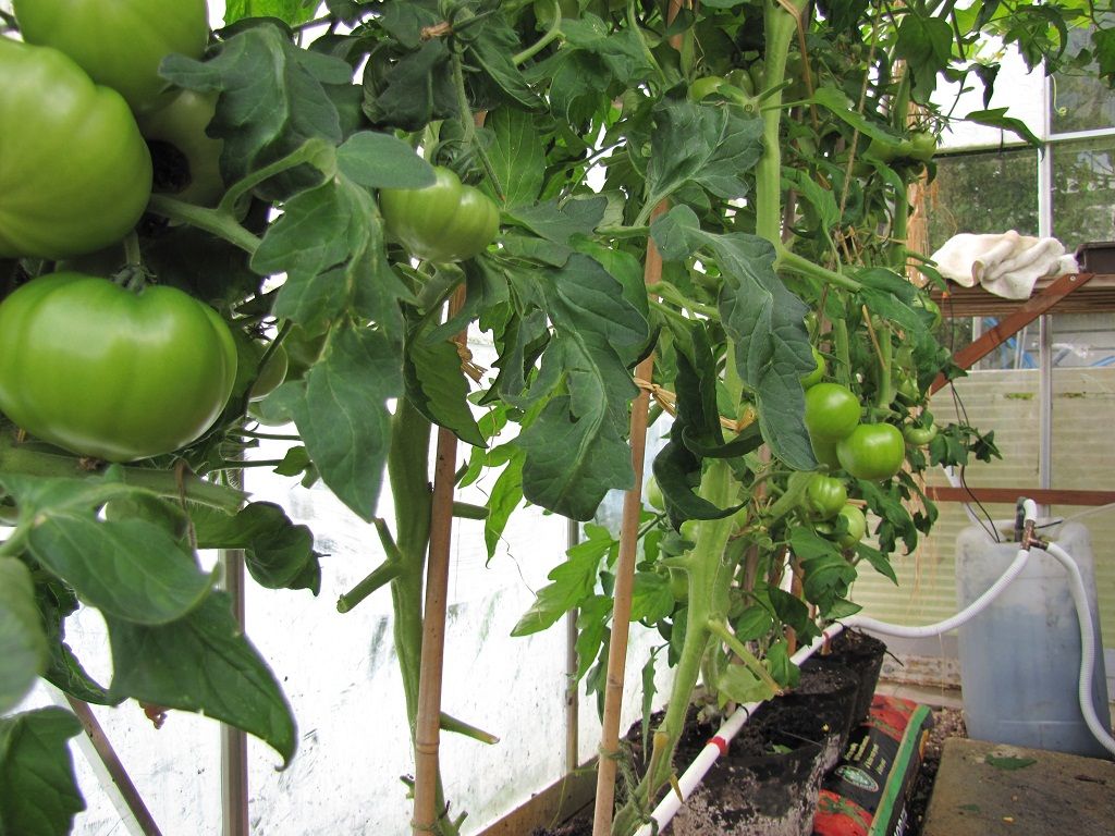 Arduino Controlled Greenhouse (With Blynk As Interface) : 9 Steps (with ...