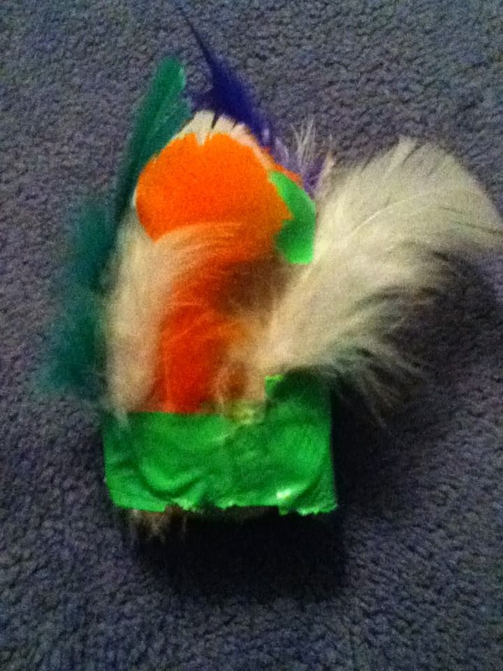Fun Easy Cat Toy : 4 Steps - Instructables