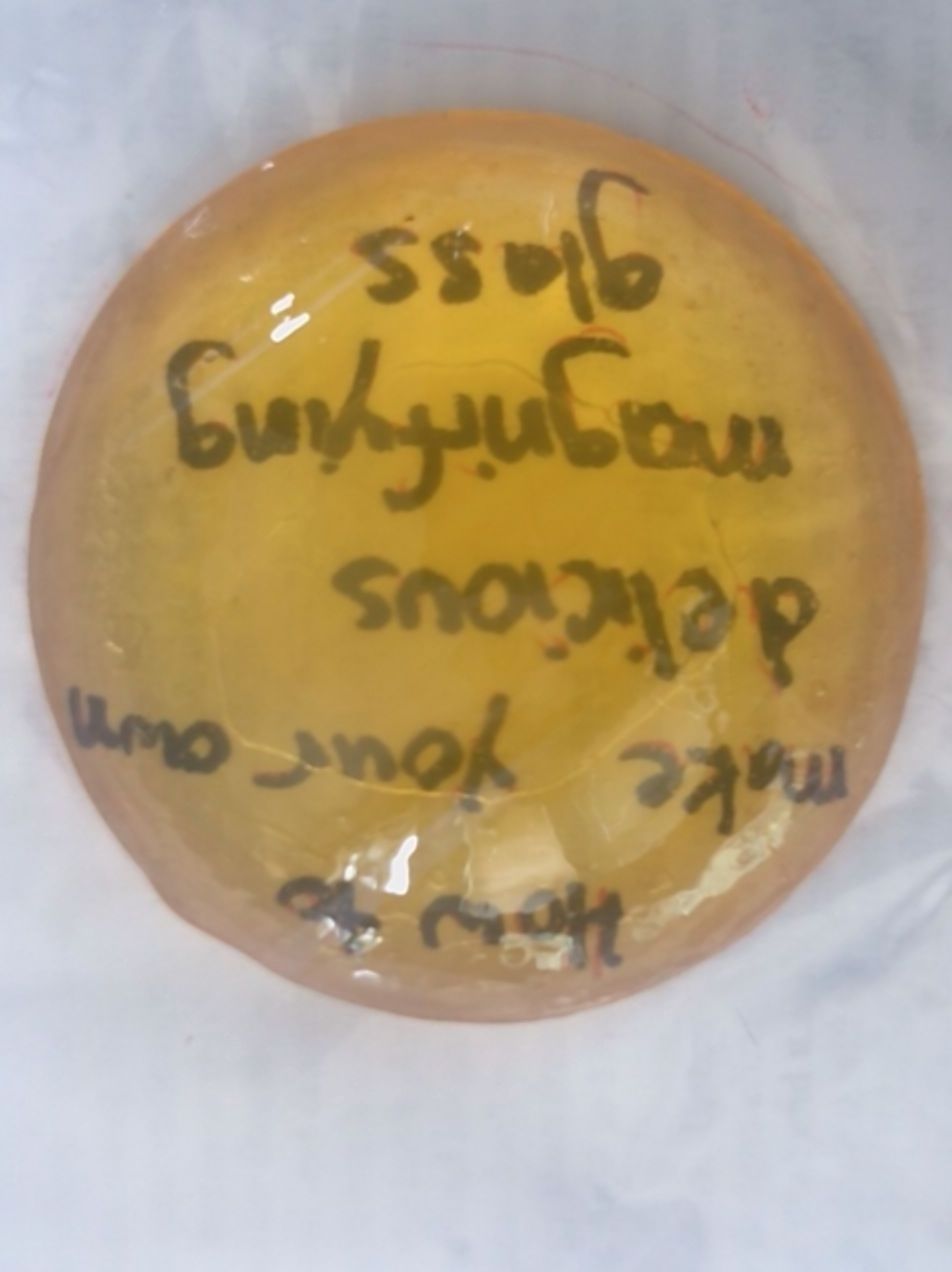 Cook Up an Edible Magnifying Glass : 4 Steps (with Pictures ...