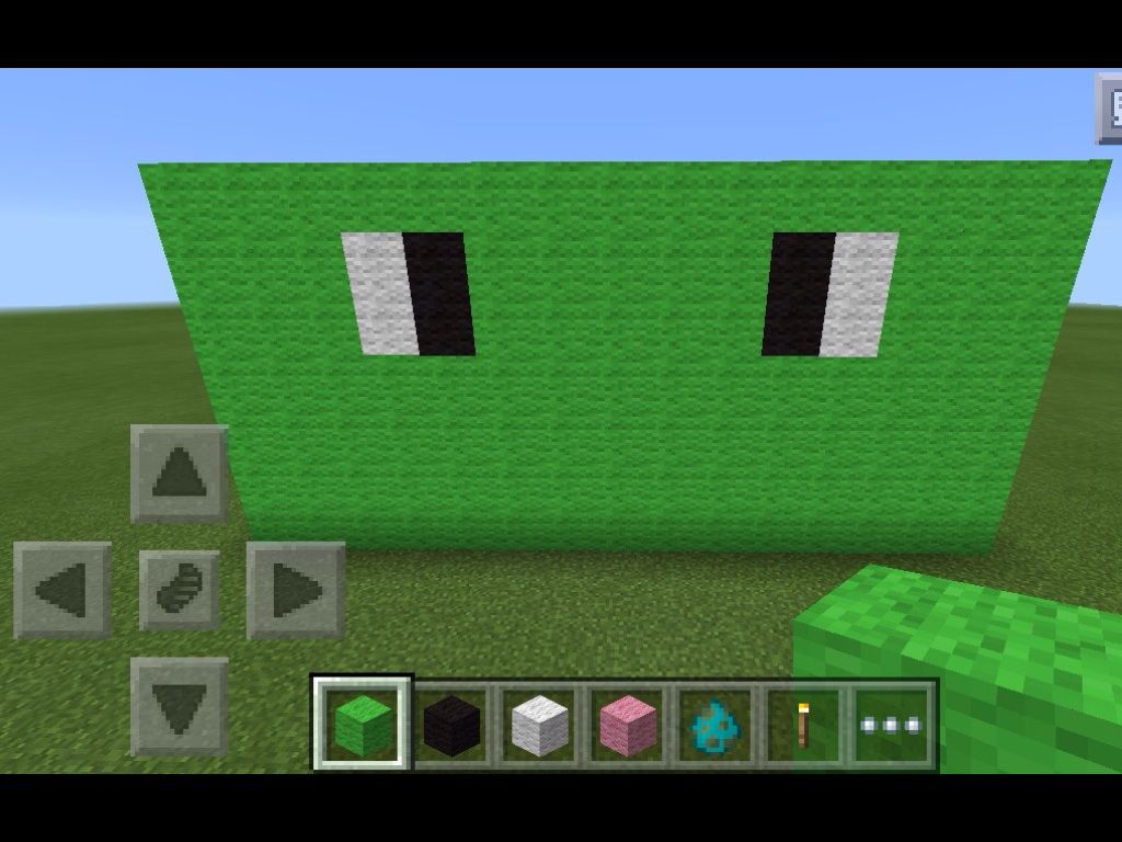 Kermitplaysminecraft Face