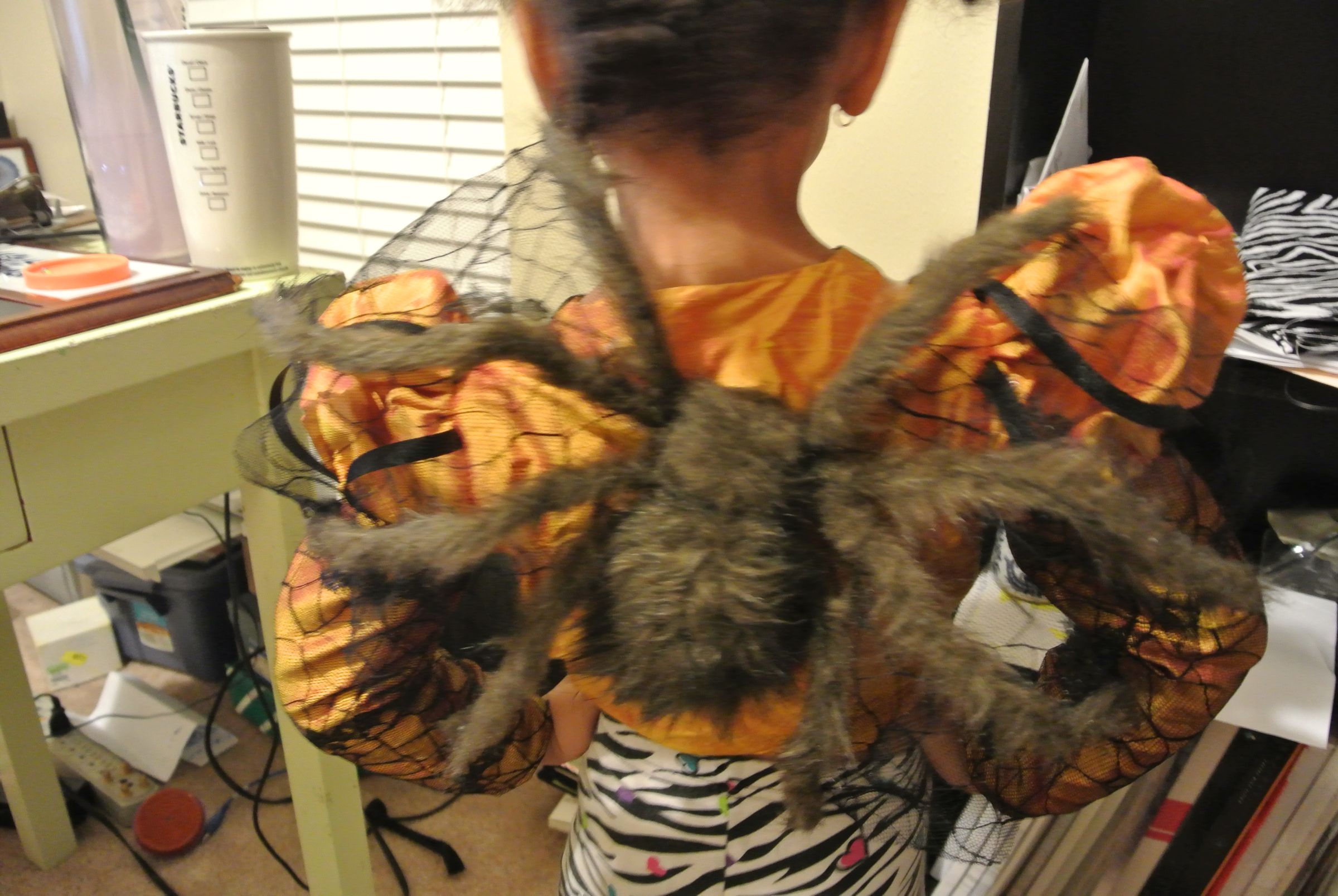 The Spider and His Spider Princess : 4 Steps (with Pictures ...