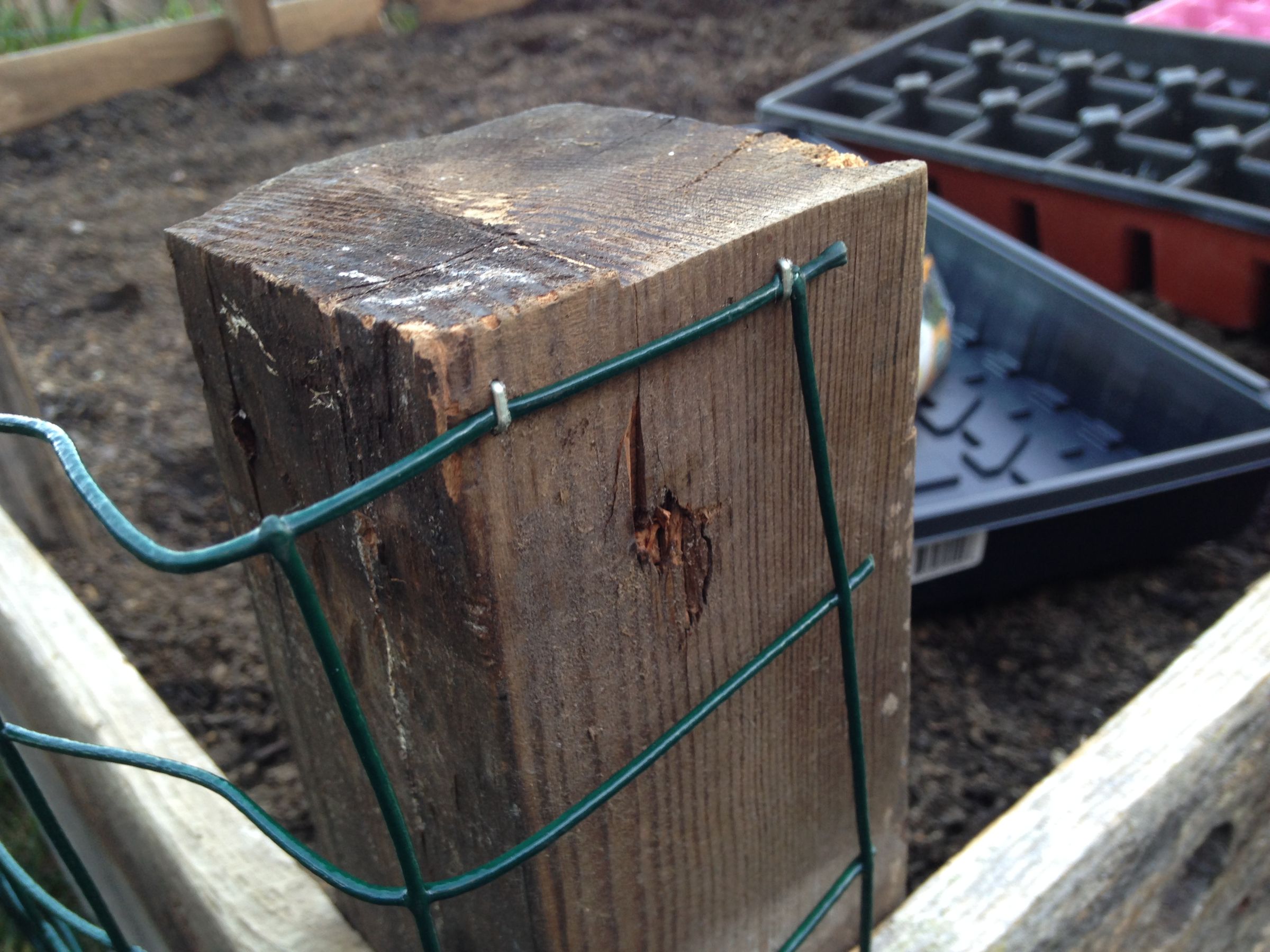 Recycled Wood Box Garden : 12 Steps (with Pictures) - Instructables
