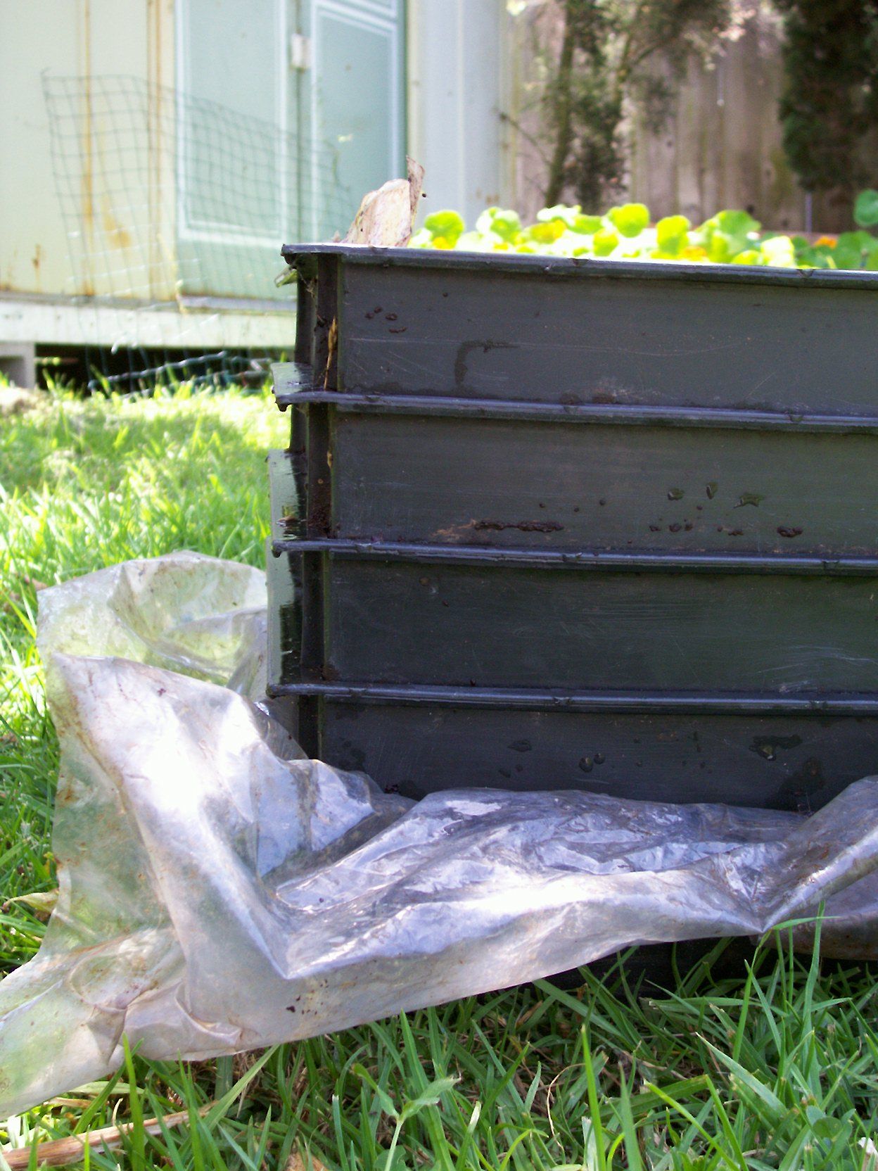 5 Dollar, 1/2 Hour Worm Composting Bin(s) : 7 Steps (with Pictures ...
