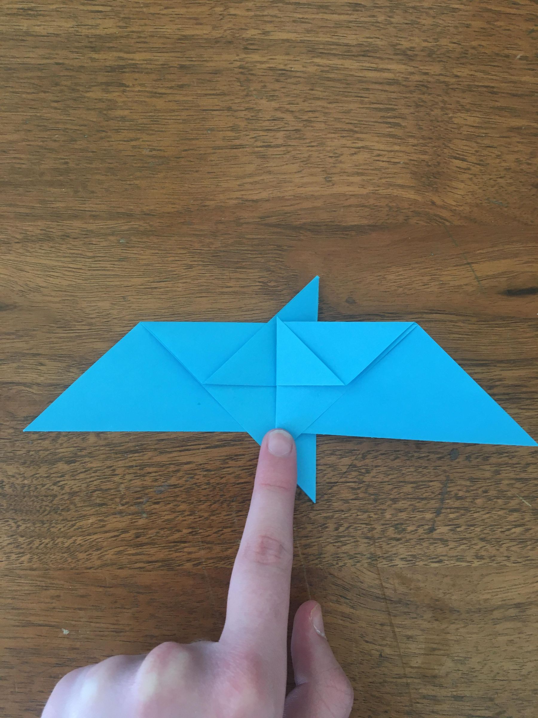 Simple Origami Bird : 6 Steps (with Pictures) - Instructables