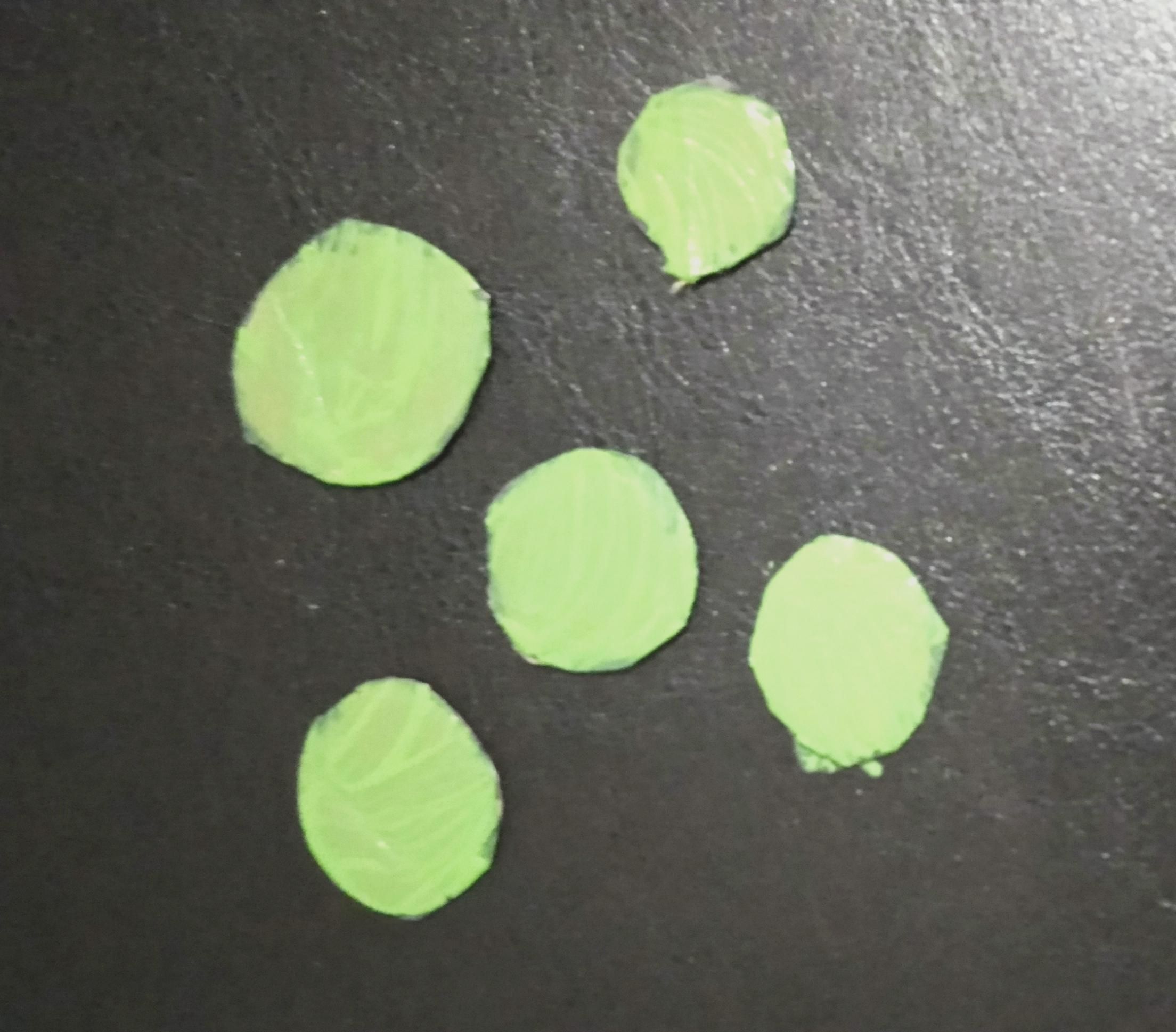 Freshwater Pond Ecosystem Model With Candy! : 8 Steps - Instructables