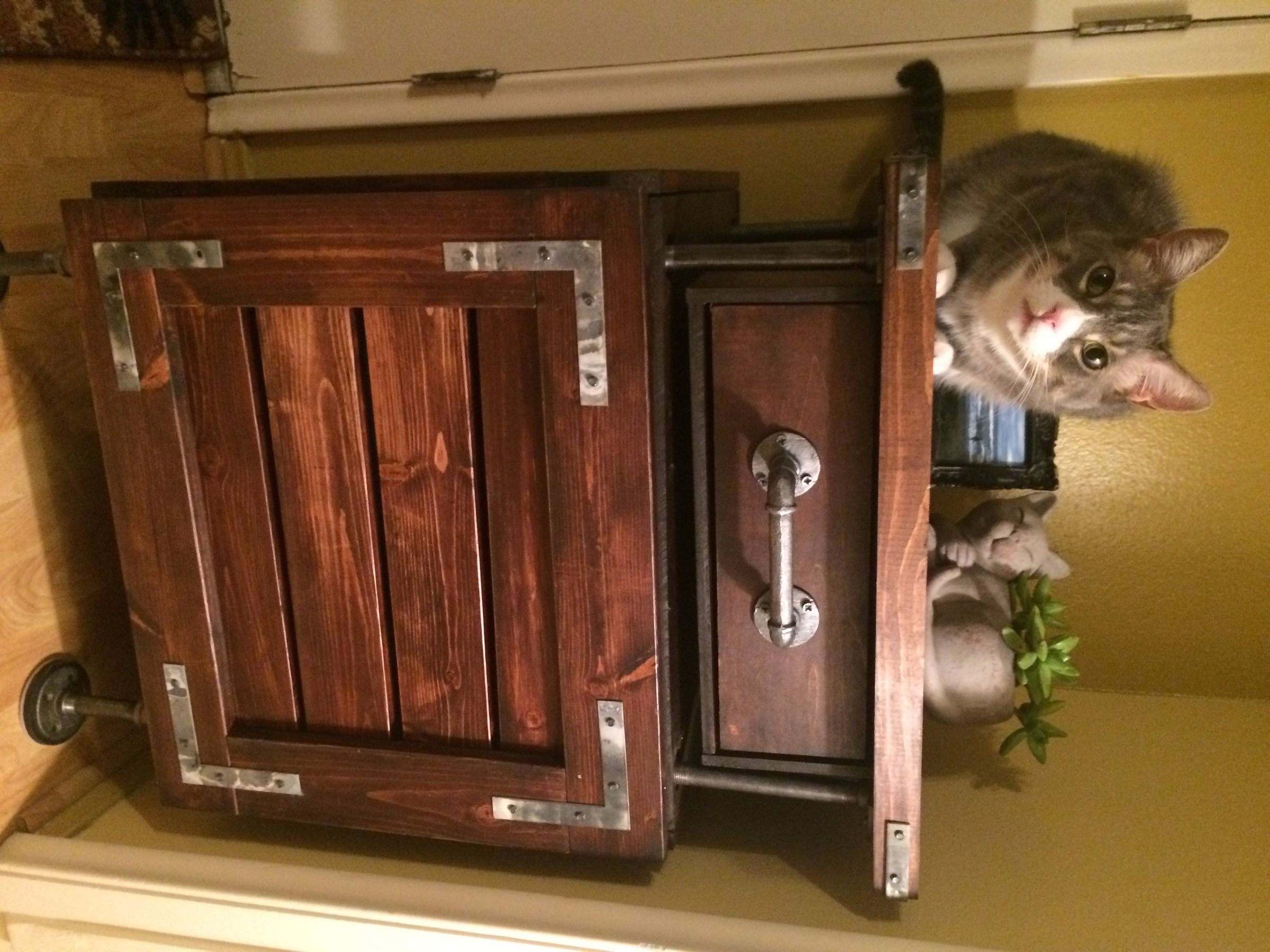 Cat Cabinet : 9 Steps (with Pictures) - Instructables