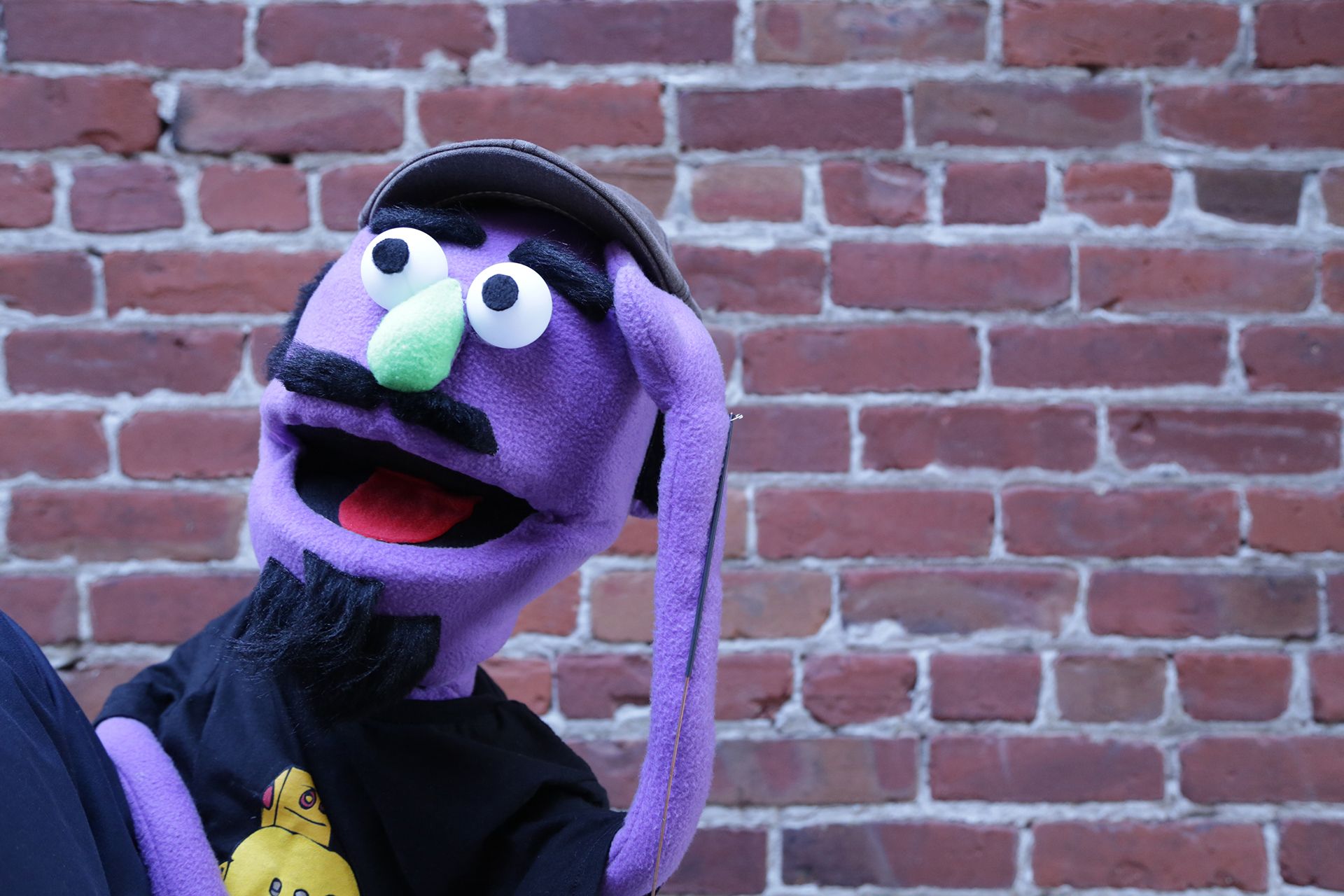 DIY Muppet Puppet : 8 Steps (with Pictures) - Instructables