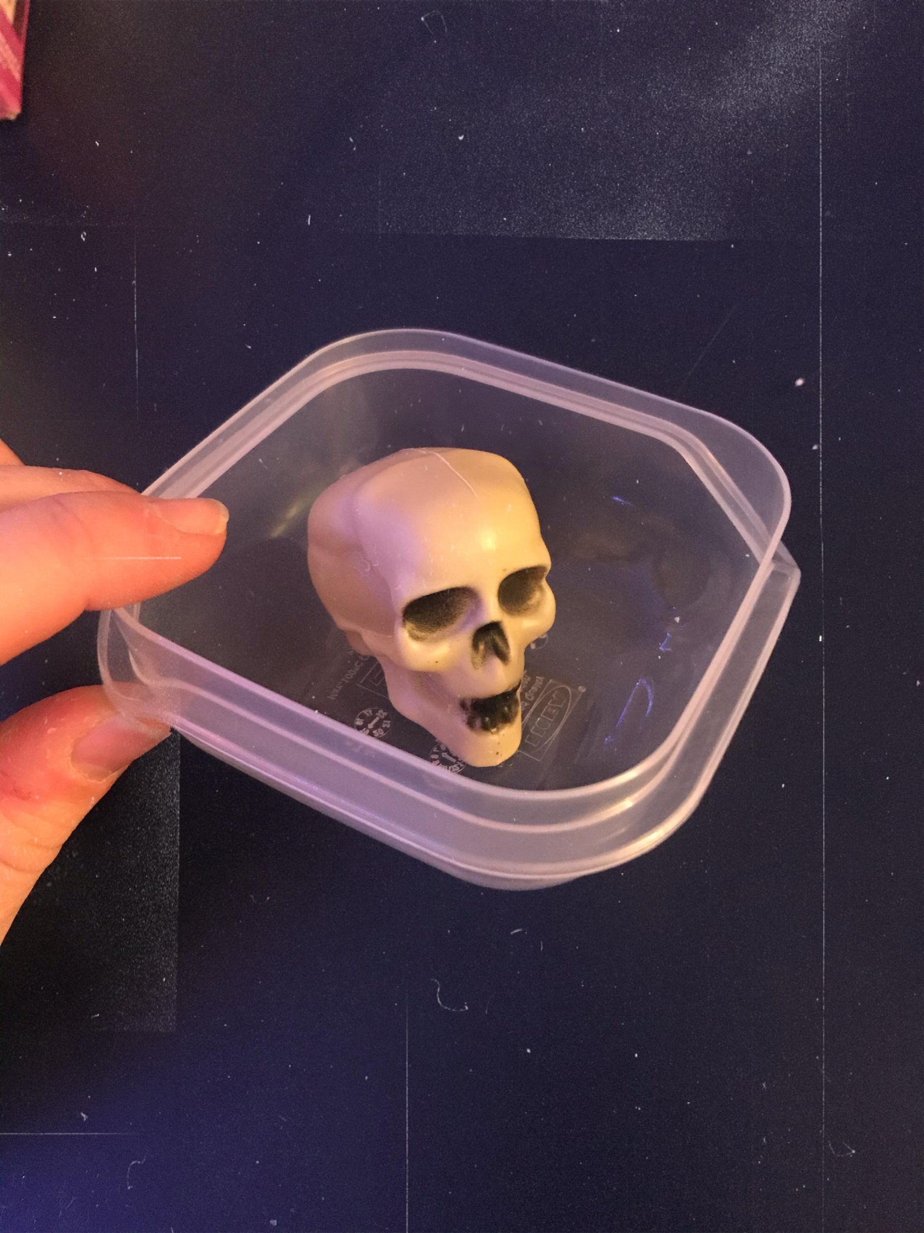 Steps to Making a Resin Skull (Mold Making and Resin) : 7 Steps (with ...