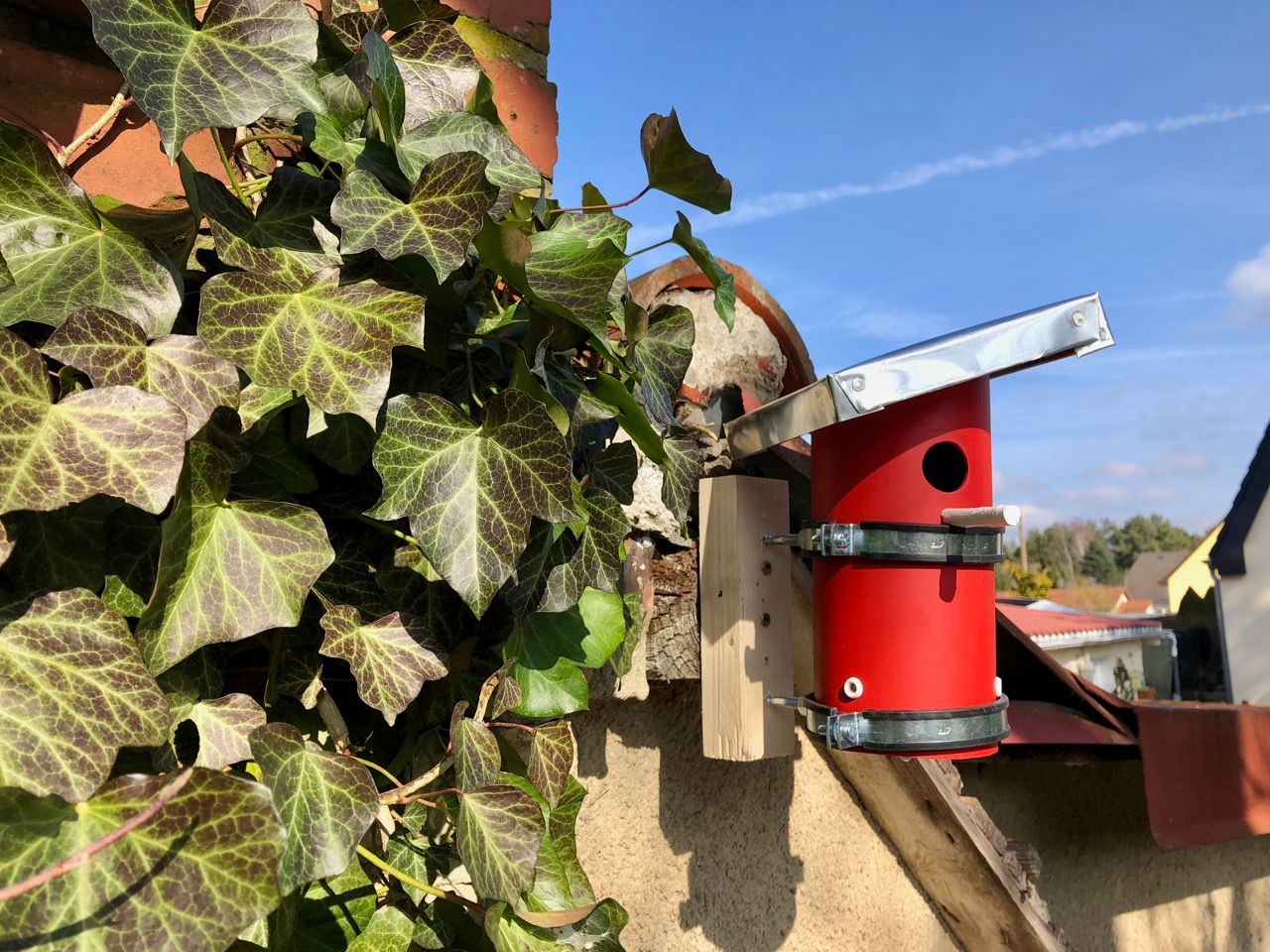 Birdhouse From an Old PVC Pipe : 14 Steps (with Pictures) - Instructables