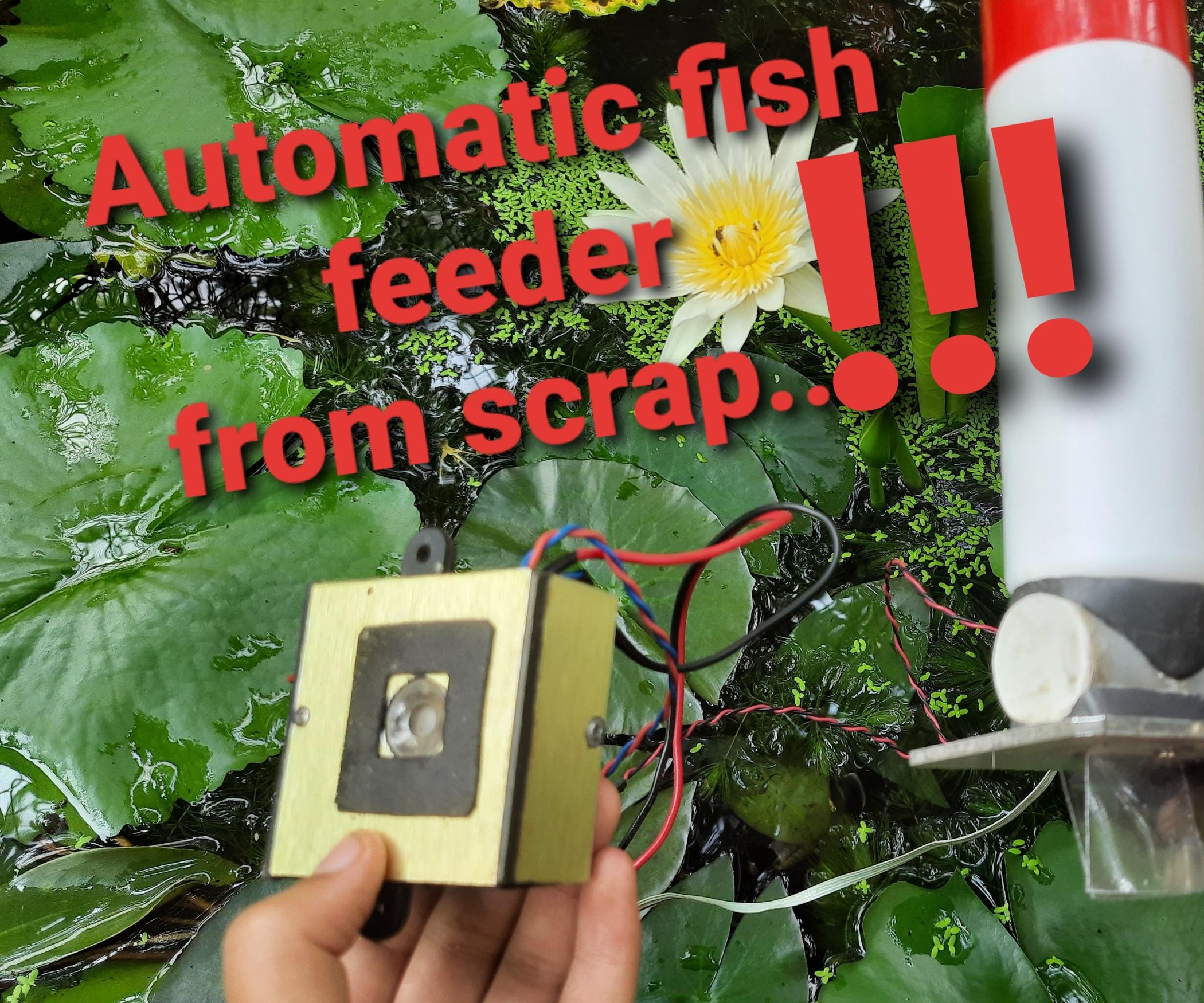 Fish Food Feeder From Scrap : 8 Steps - Instructables