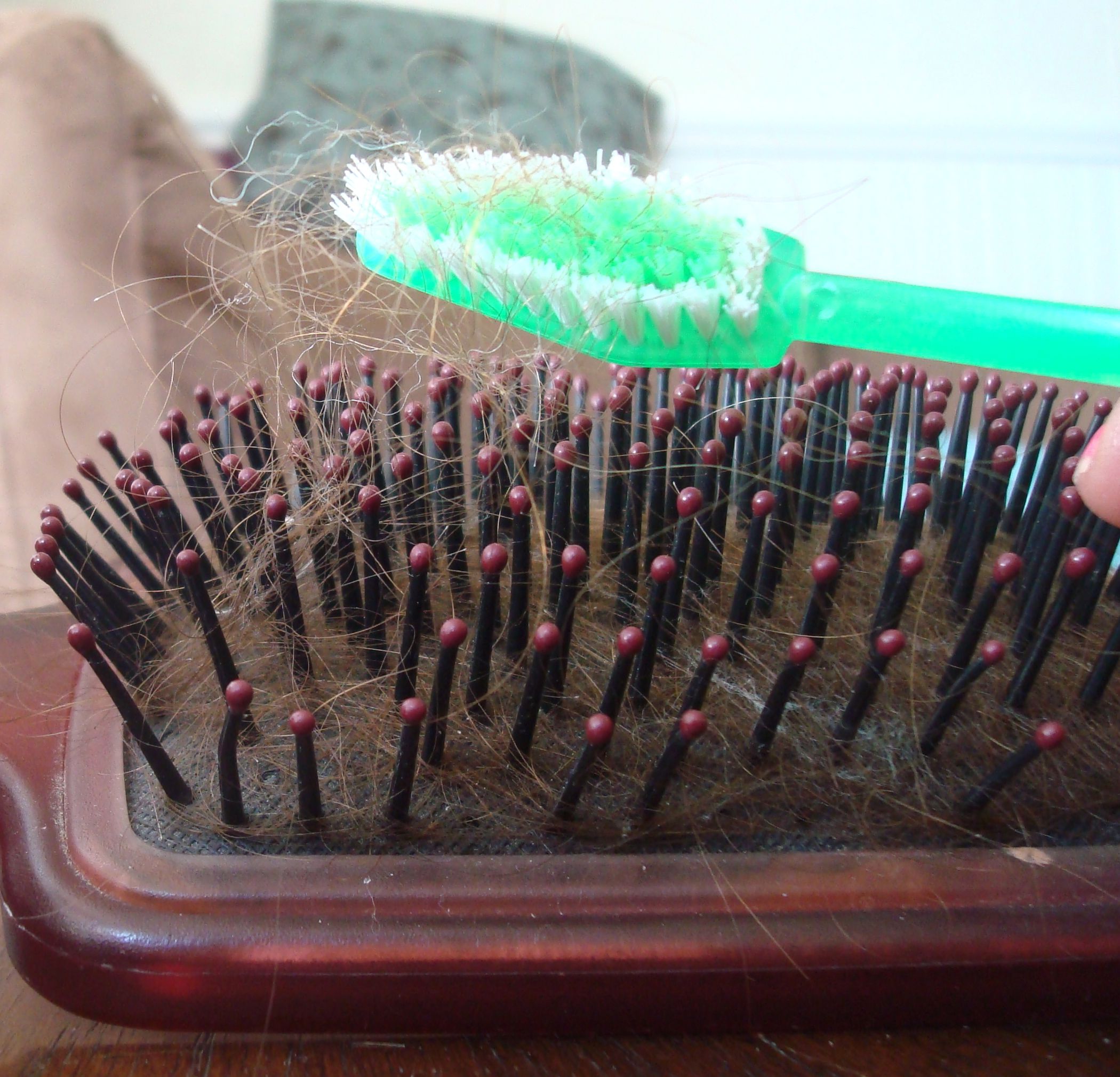 10 Uses for Your Old Toothbrush : 10 Steps (with Pictures) - Instructables