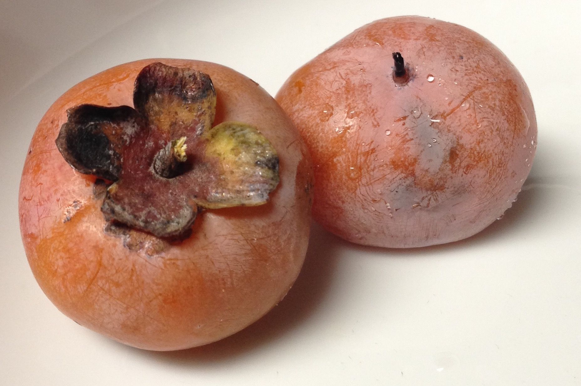 Harvesting, Processing, Cooking - Native Persimmon Bread : 18 Steps ...