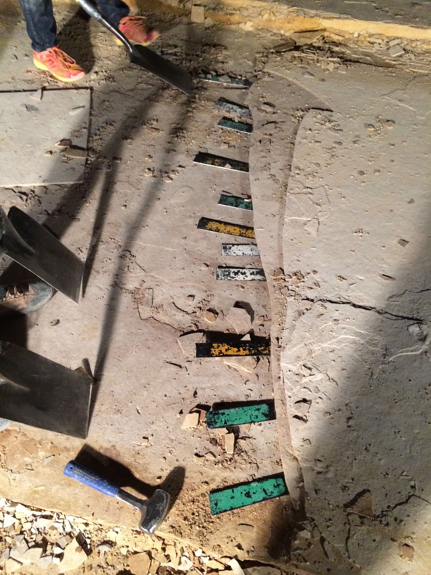 Split Limestone to Find Fossils!! : 4 Steps (with Pictures) - Instructables