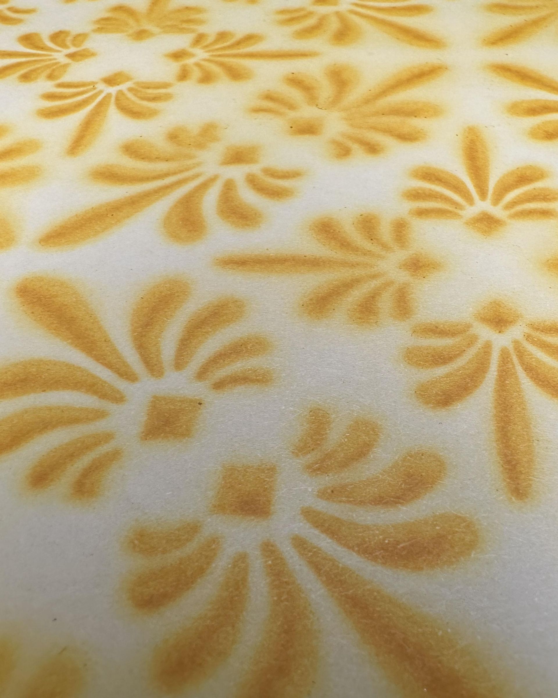 Turmeric Sun Prints/ Impresiones Solares Con Cúrcuma : 12 Steps (with ...