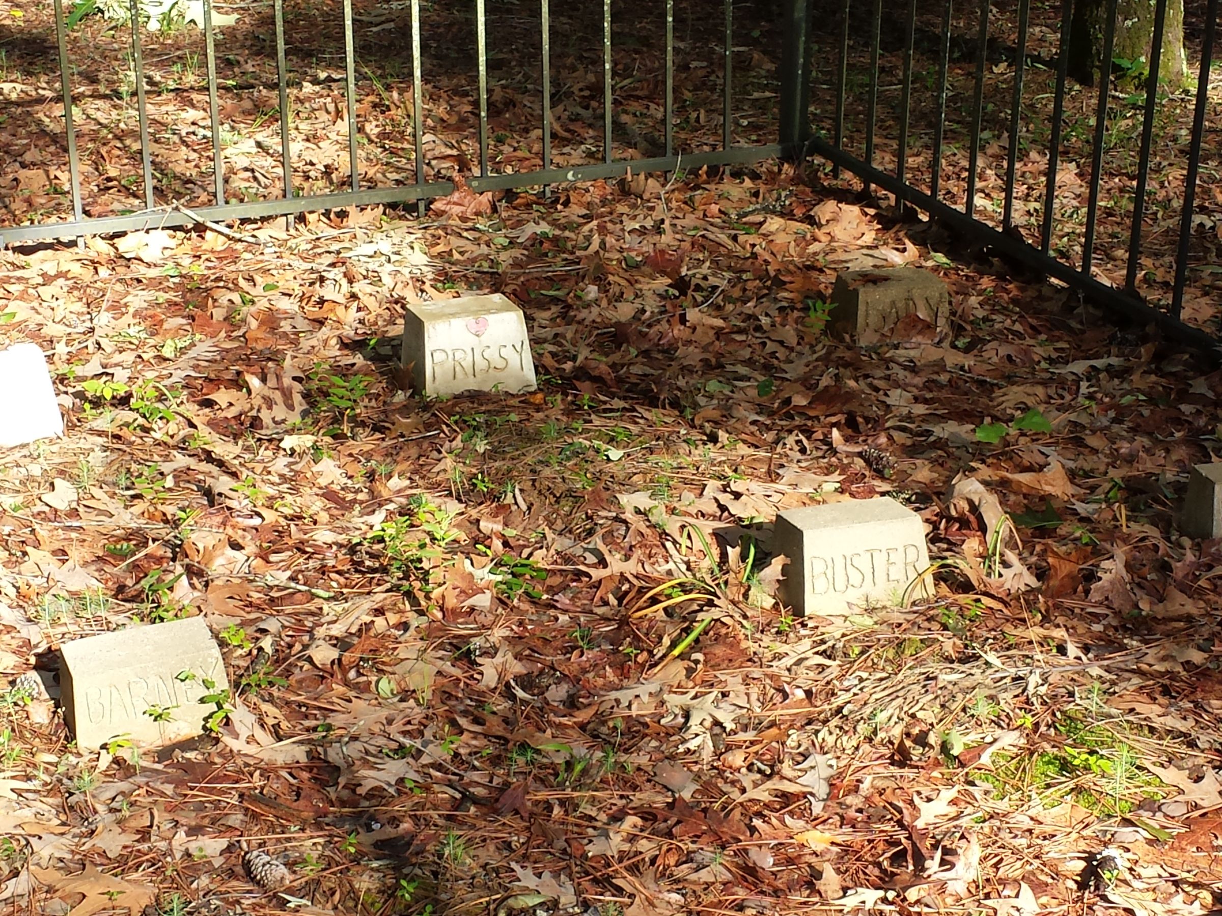 Pet Grave Marker & Mold to Make It - Instructables