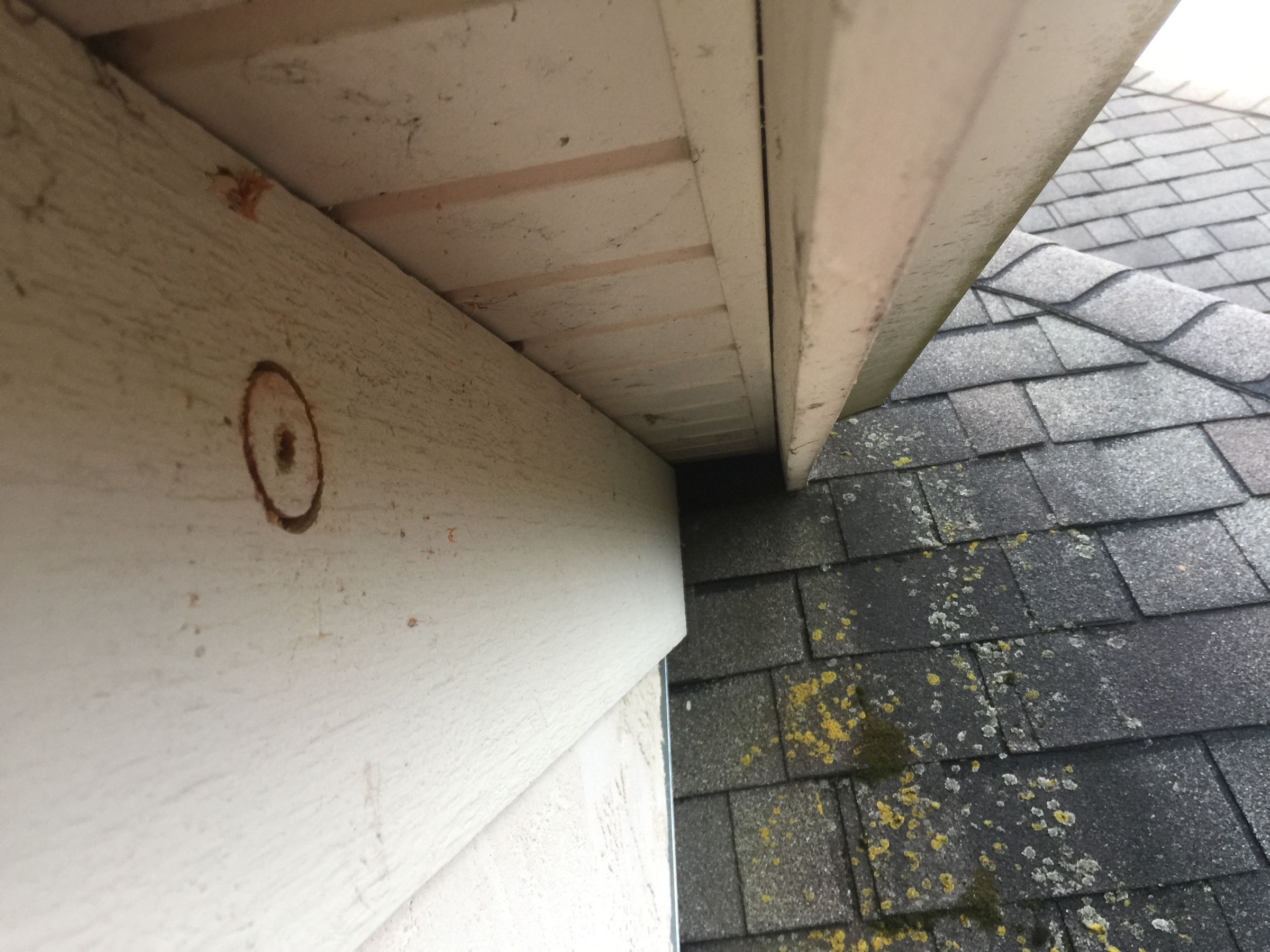 Wooden Observation Beehive ::UPDATED!:: : 11 Steps (with Pictures ...