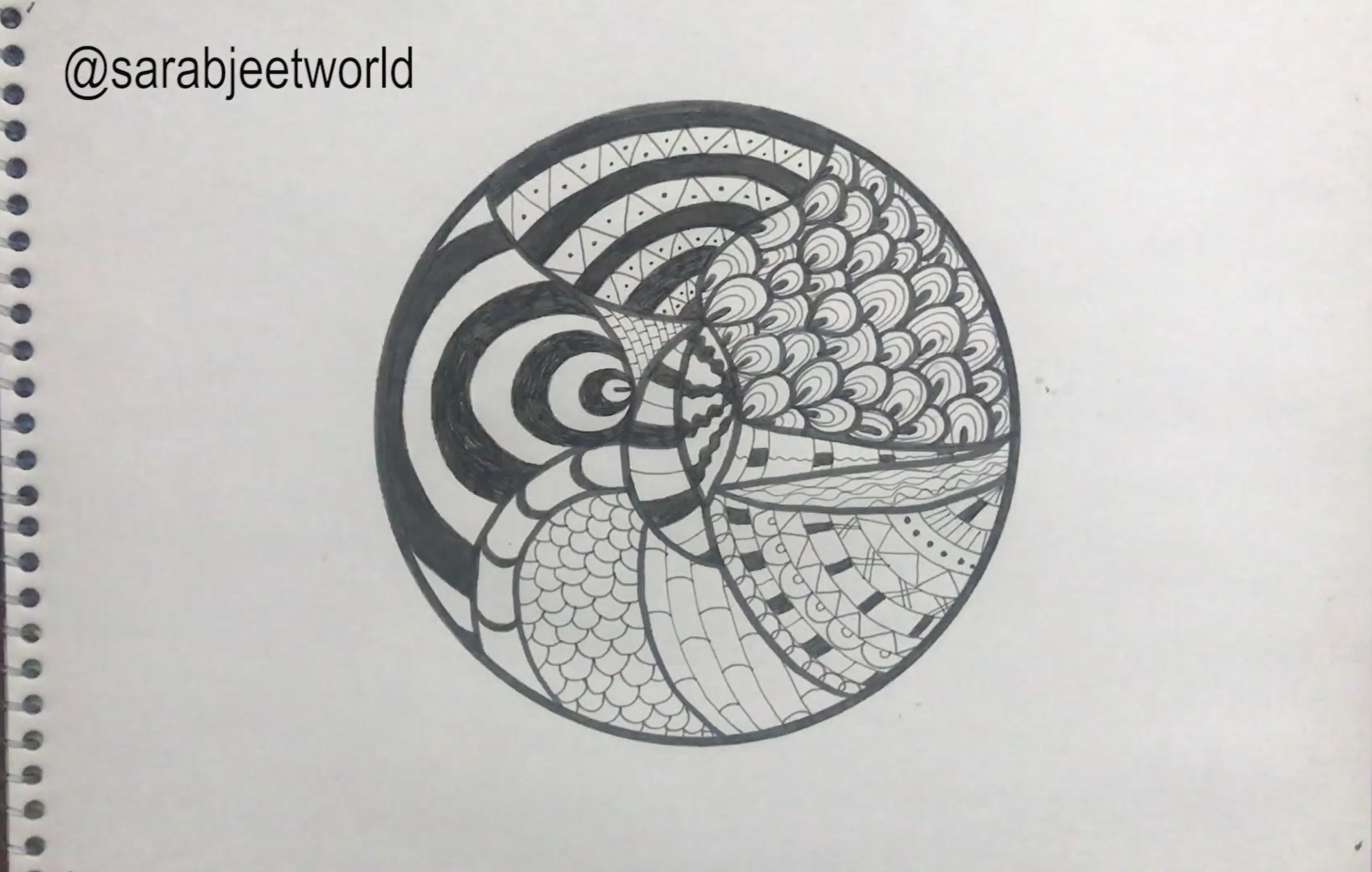 How to Draw Complex Zentangle Art for Beginners Learn : 11 Steps ...